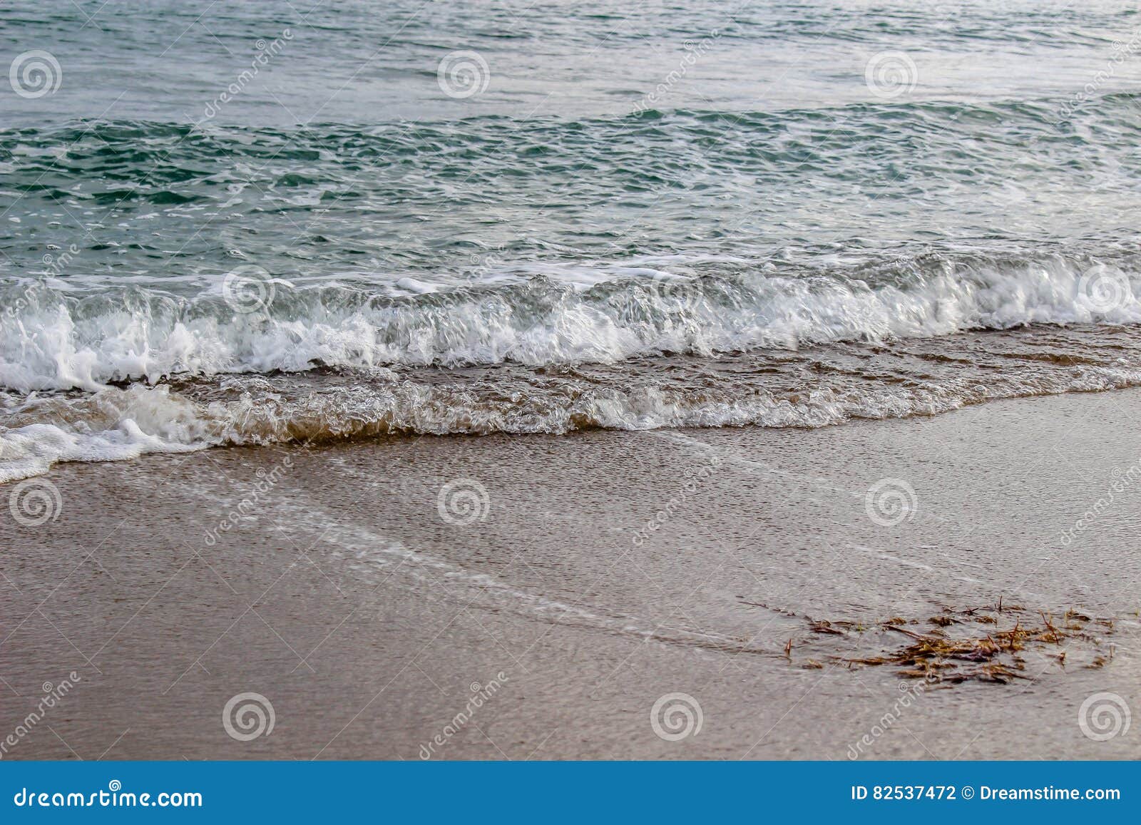 Waves Rolling in on the Beach Stock Photo - Image of coast, calm: 82537472