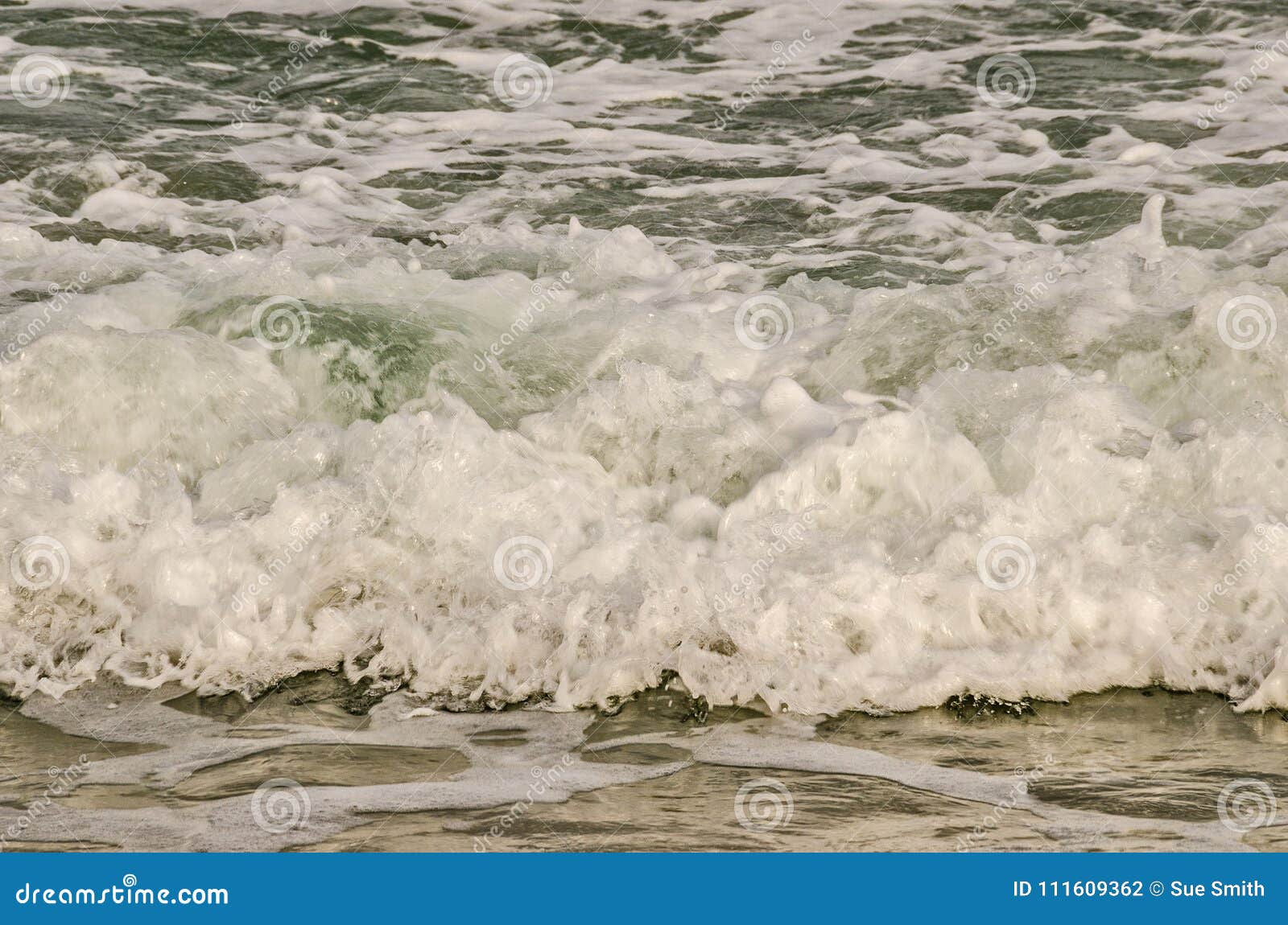 Waves Rushing to Shore stock photo. Image of florida - 111609362
