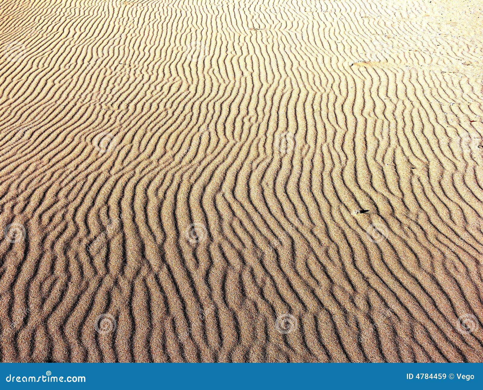 Waves in the sand. stock image. Image of coast, grain - 4784459