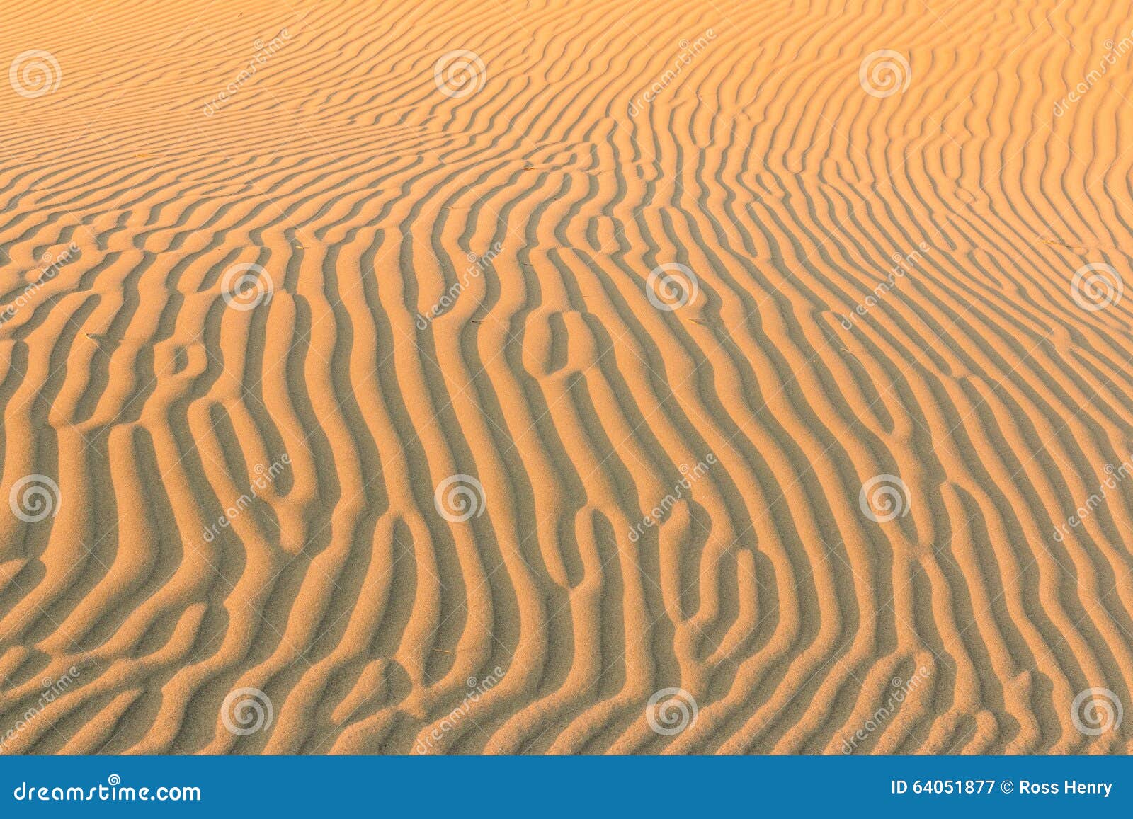 Waves of Sand Cross stock image. Image of desert, nature - 64051877