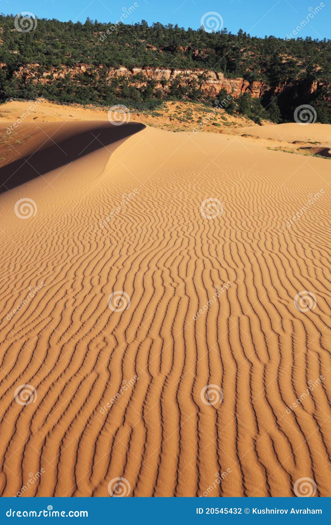 The Waves on the Sand Dunes U.S. Stock Photo - Image of yellow, pattern ...