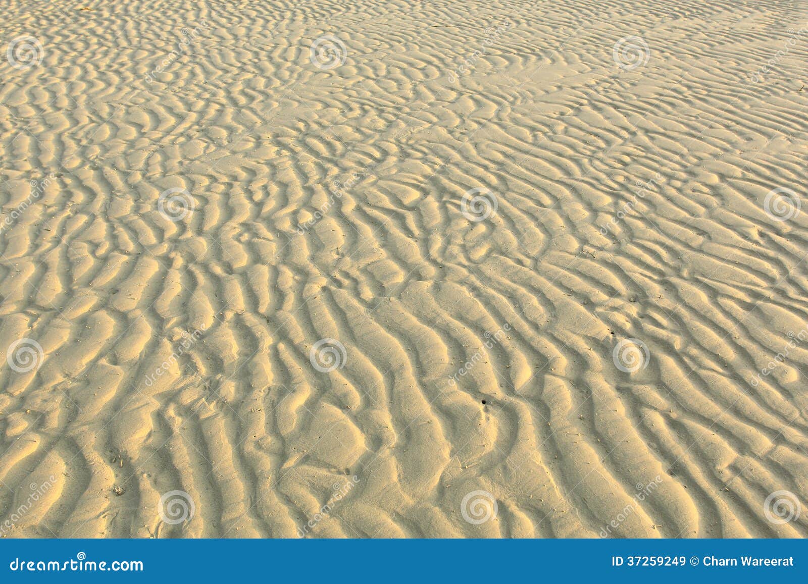 Waves of sand. stock image. Image of closeup, advertisement - 37259249