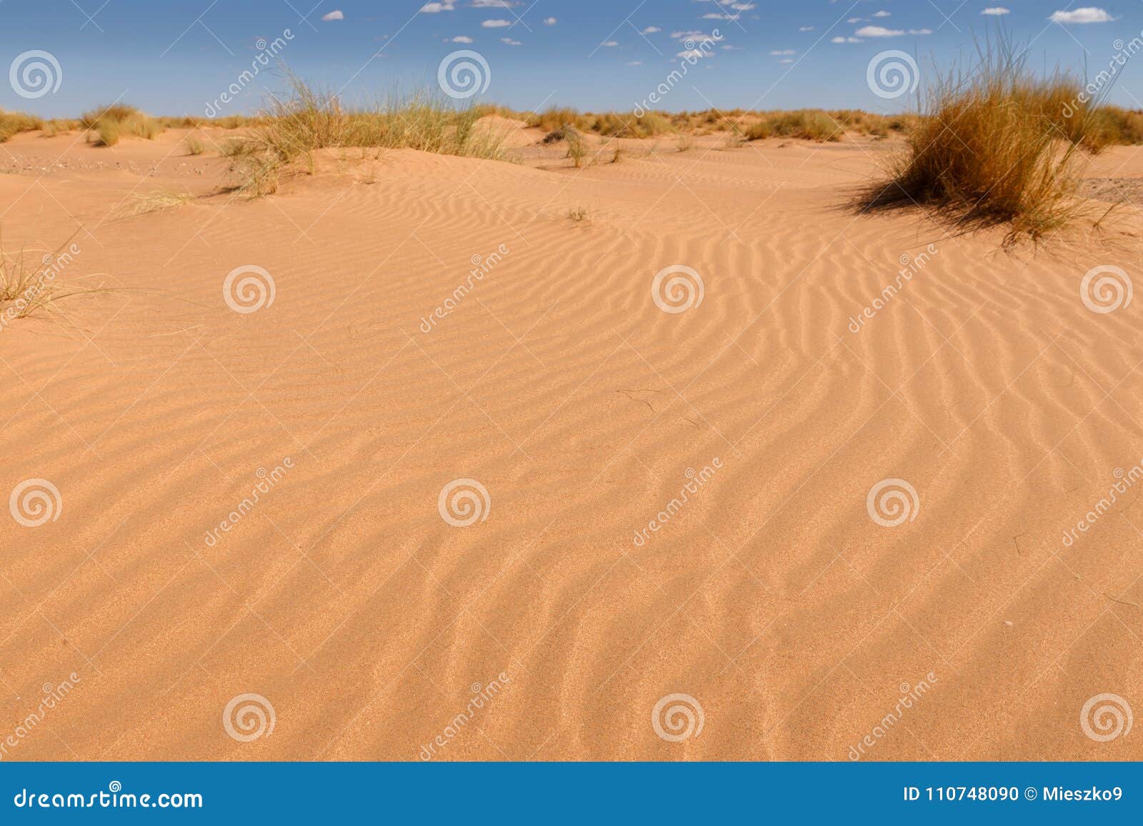Waves on the Sand in the Sahara Desert, Morocco Stock Photo - Image of ...