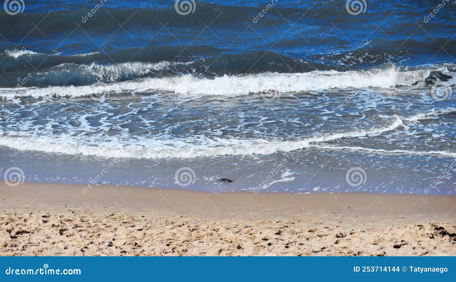 Waves on sand seashore stock photo. Image of water, outdoors - 253714144