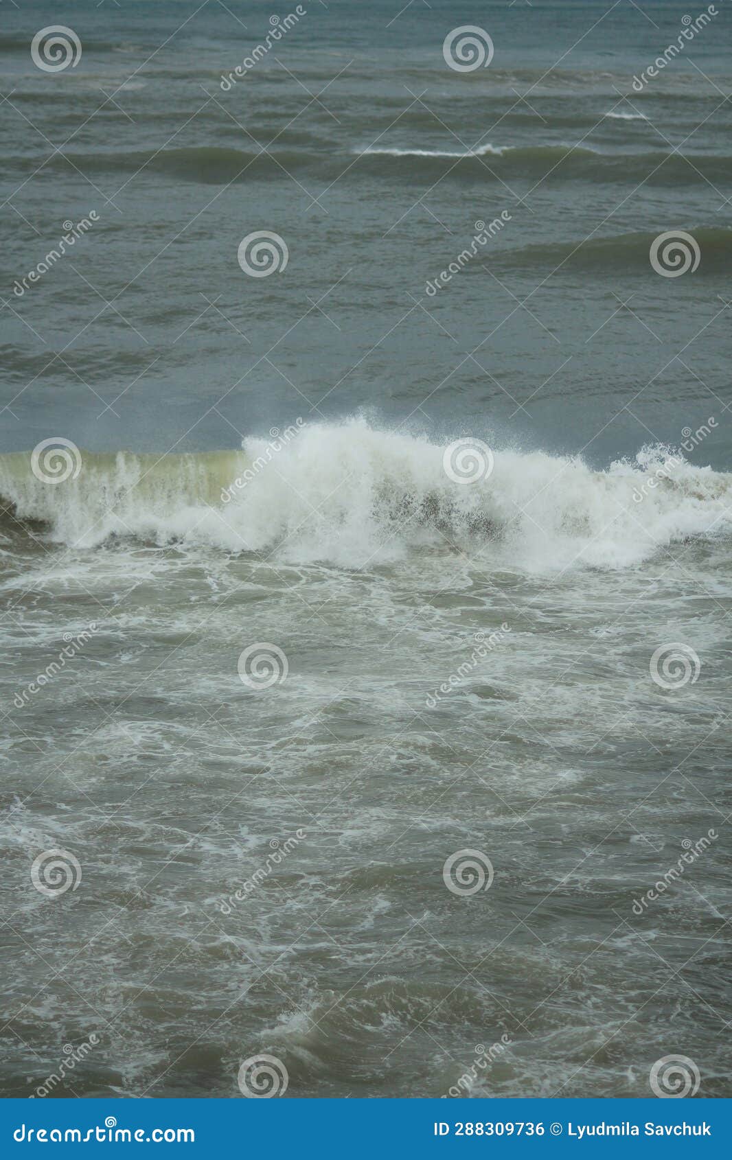 Waves Splash on the Seashore, White Sheep Roll on the Sand Stock Photo ...