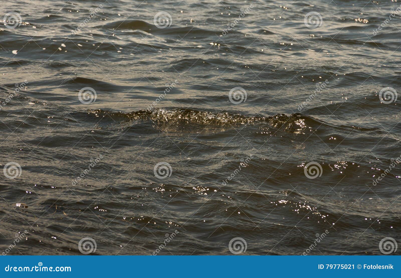 Waves and Splashes in the Water in Windy Weather Stock Image - Image of ...