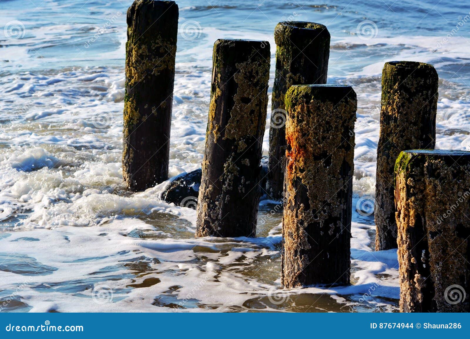 Waves Splashing into Wooden Pilings on the Beach Stock Photo - Image of ...