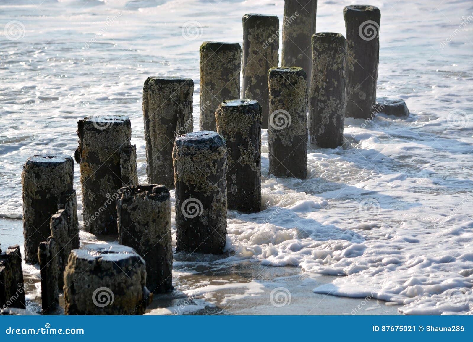 Waves Splashing into Wooden Pilings on the Beach Stock Image - Image of ...