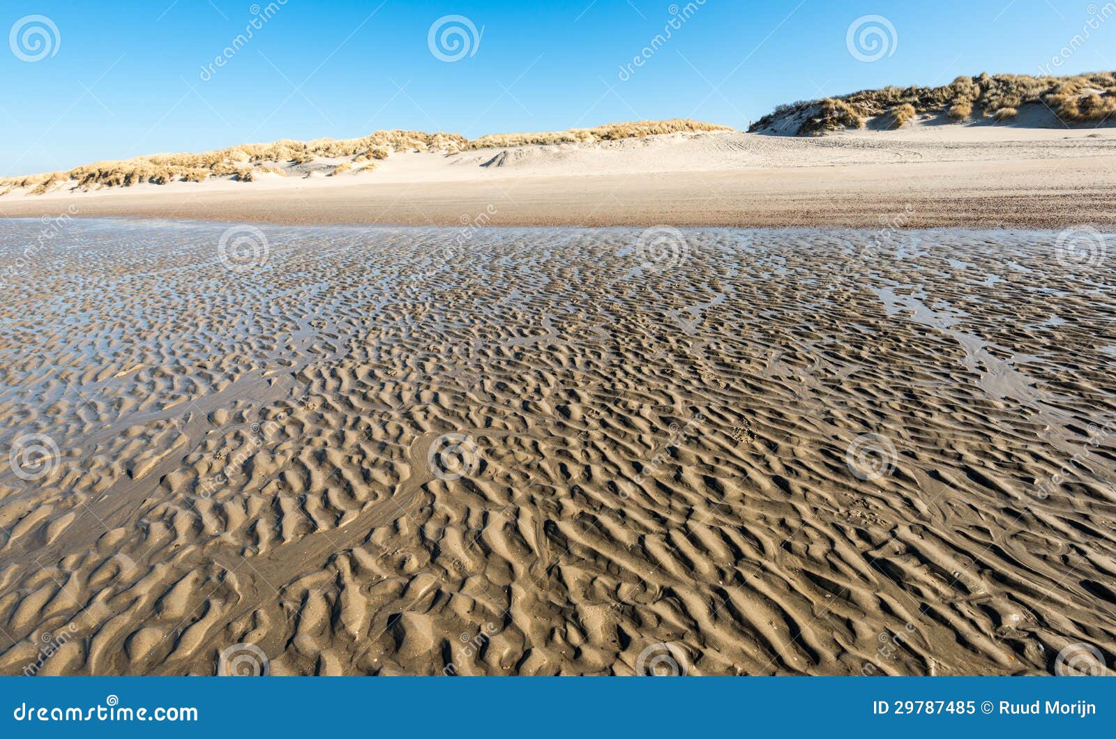 Closeup of a Notable Beach Structure at Low Tide Stock Image - Image of ...