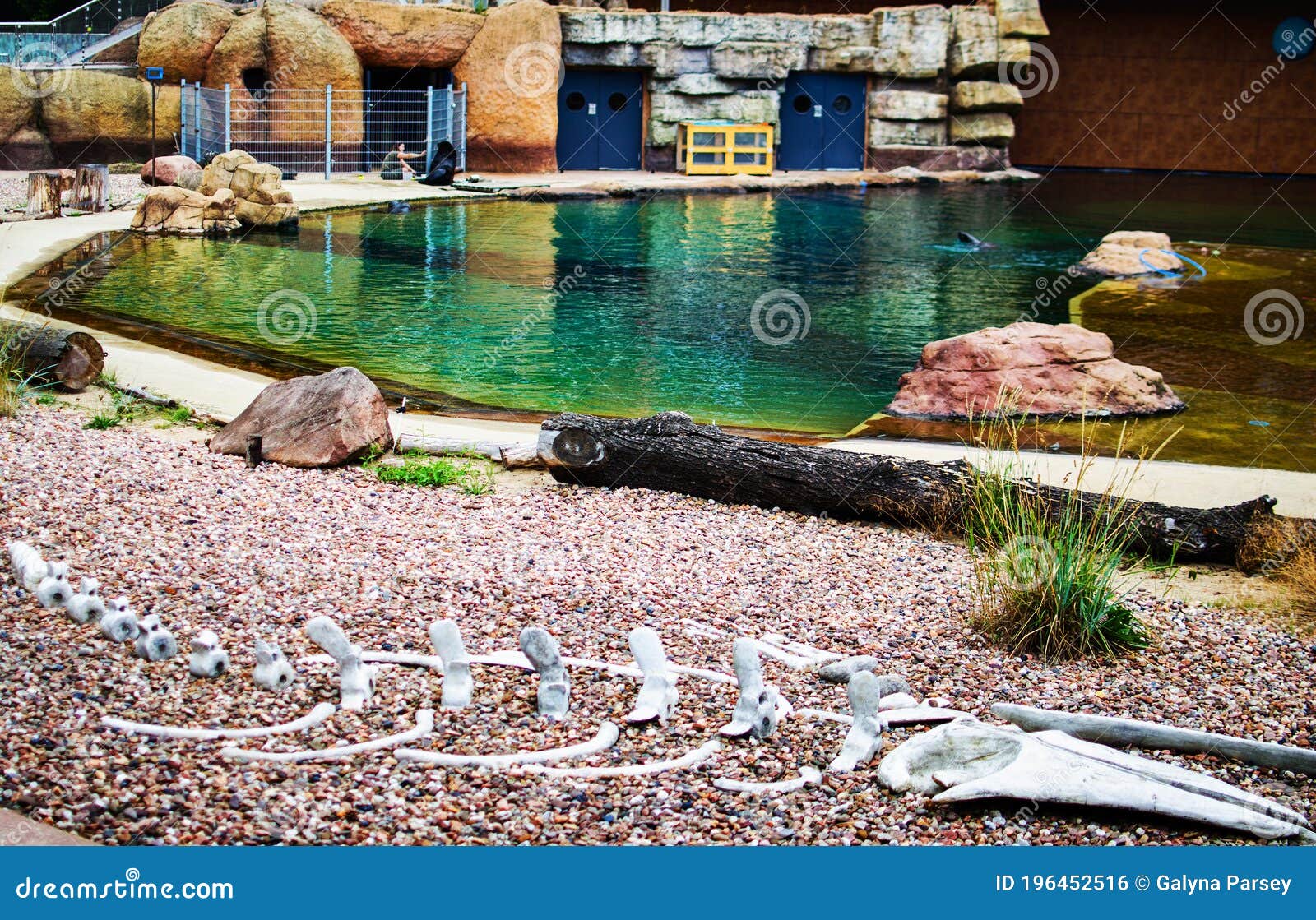 Waves of Water Outdoors with Drops for Life Editorial Photo - Image of ...