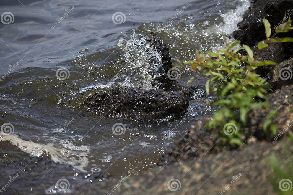 Waves Hitting Rocks on Lake Shore Stock Image - Image of landscape ...