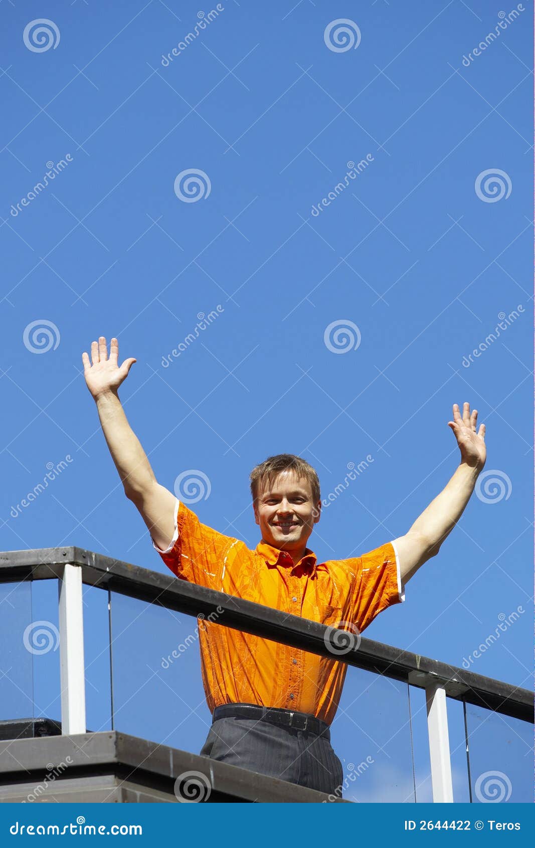 Waving stock photo. Image of wave, gesture, young, barrier - 2644422