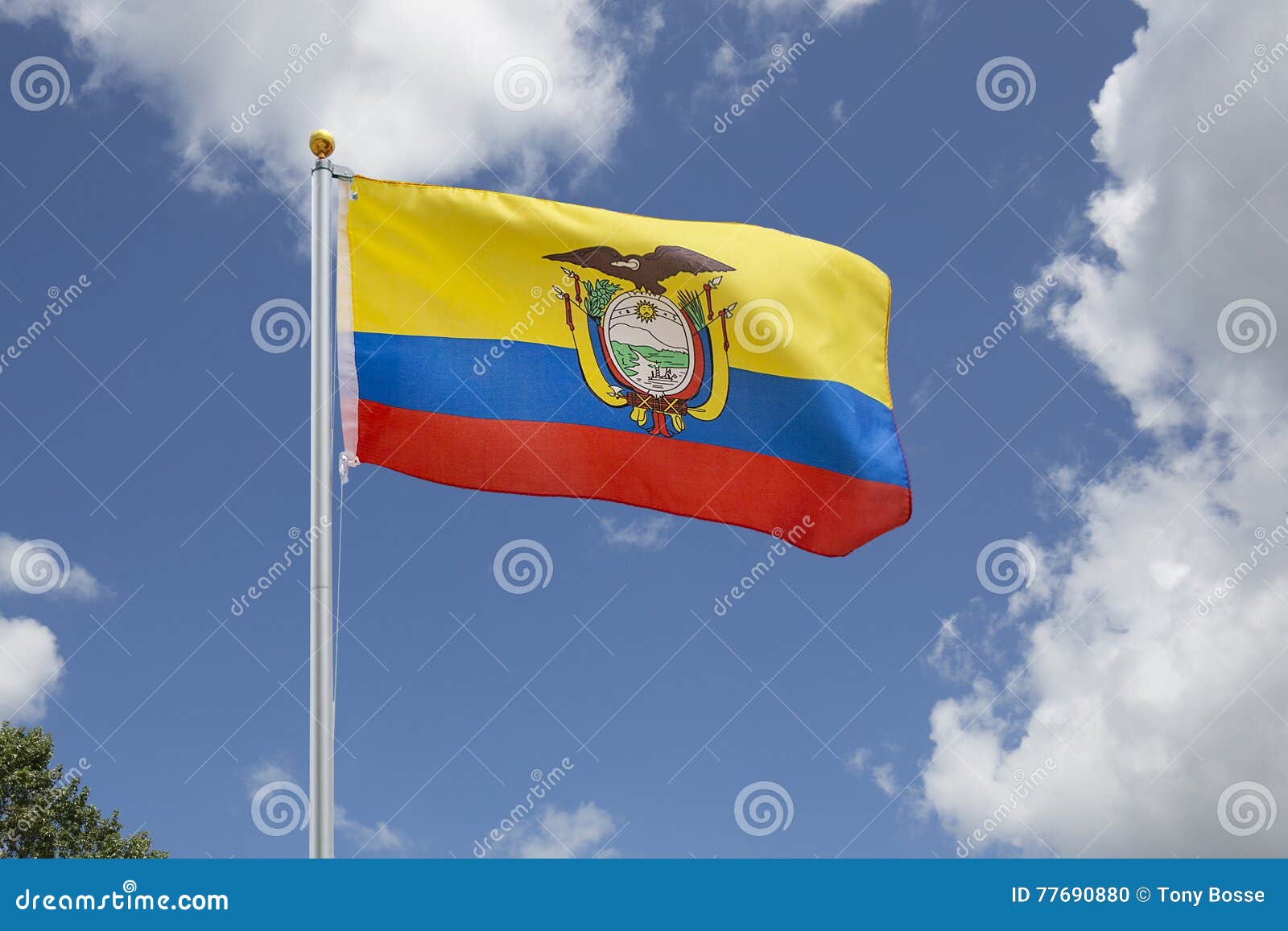 Waving Ecuador Flag stock photo. Image of ecuadorian - 77690880
