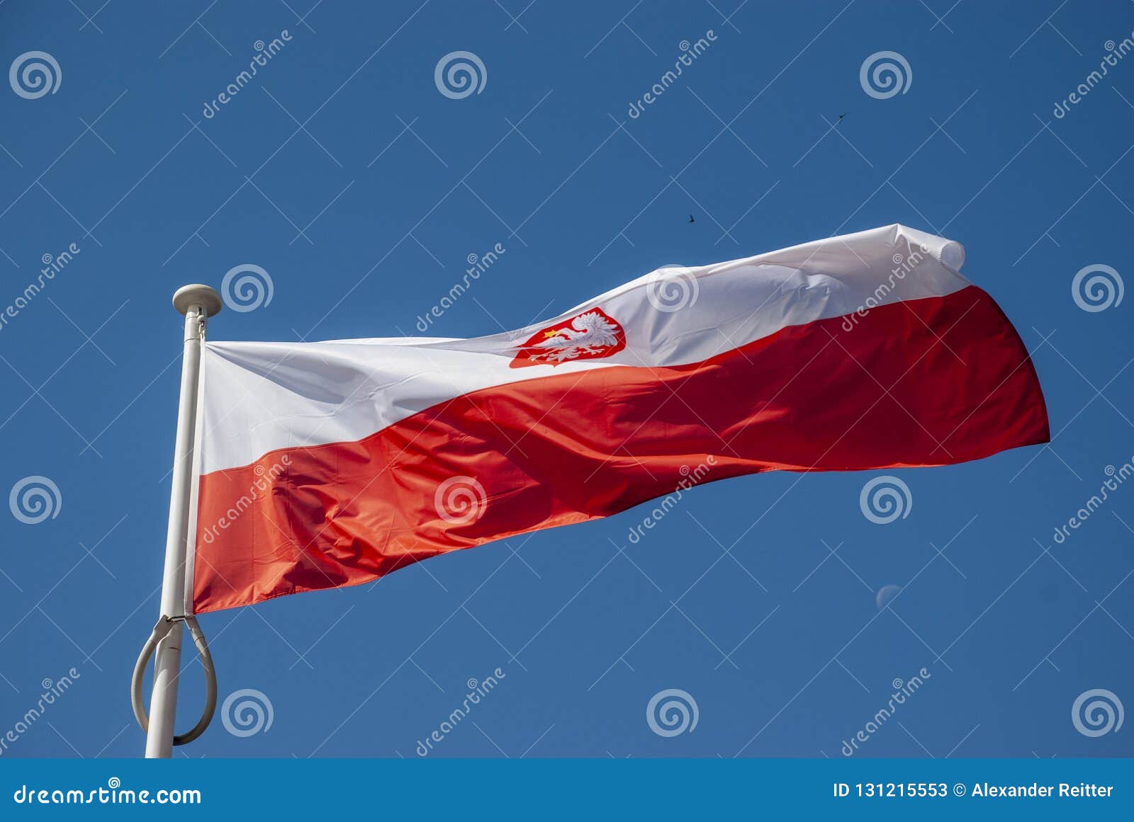 Flag Of Poland At Old, Damaged Wall With A Polska Walczaca Sign On It ...