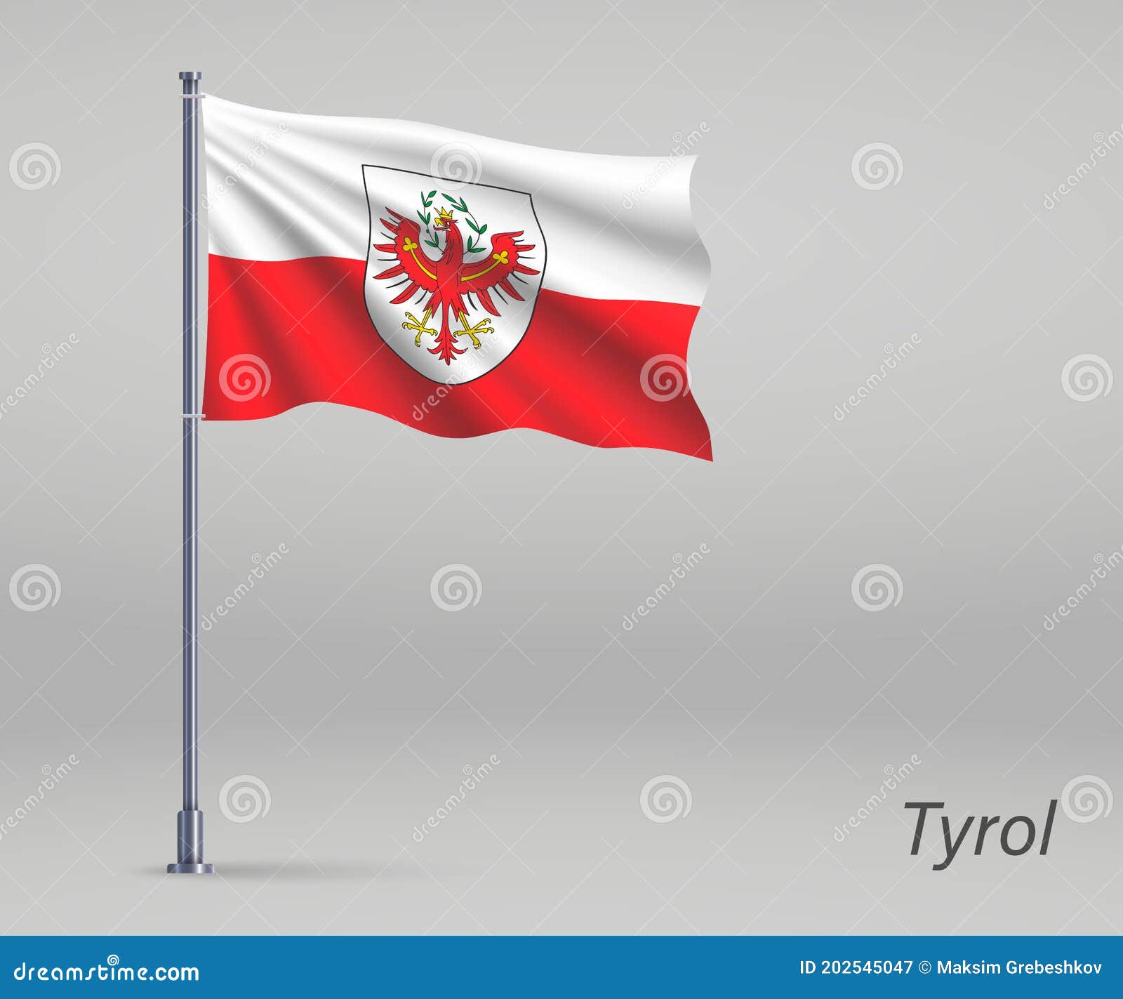 Tyrol Map. State And District Map Of Tyrol. Political Map Of Tyrol With ...