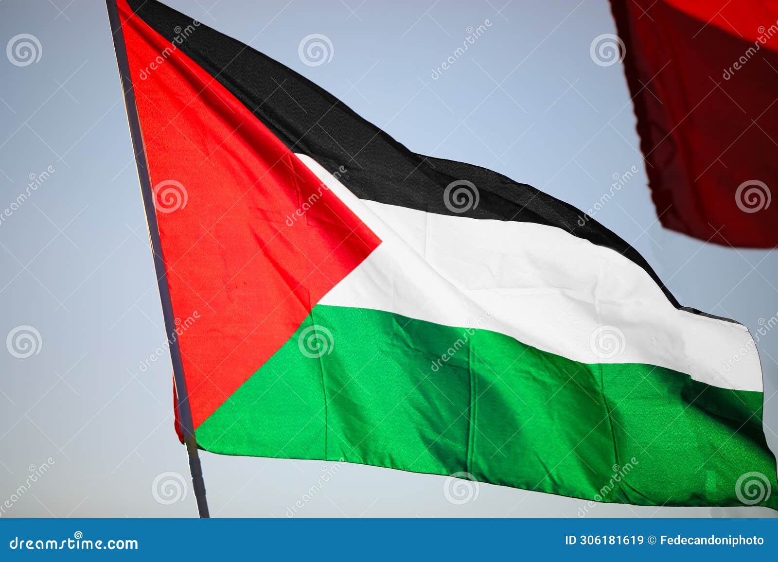 Waving Palestinian Flag during the Peaceful Demonstration Stock Image ...