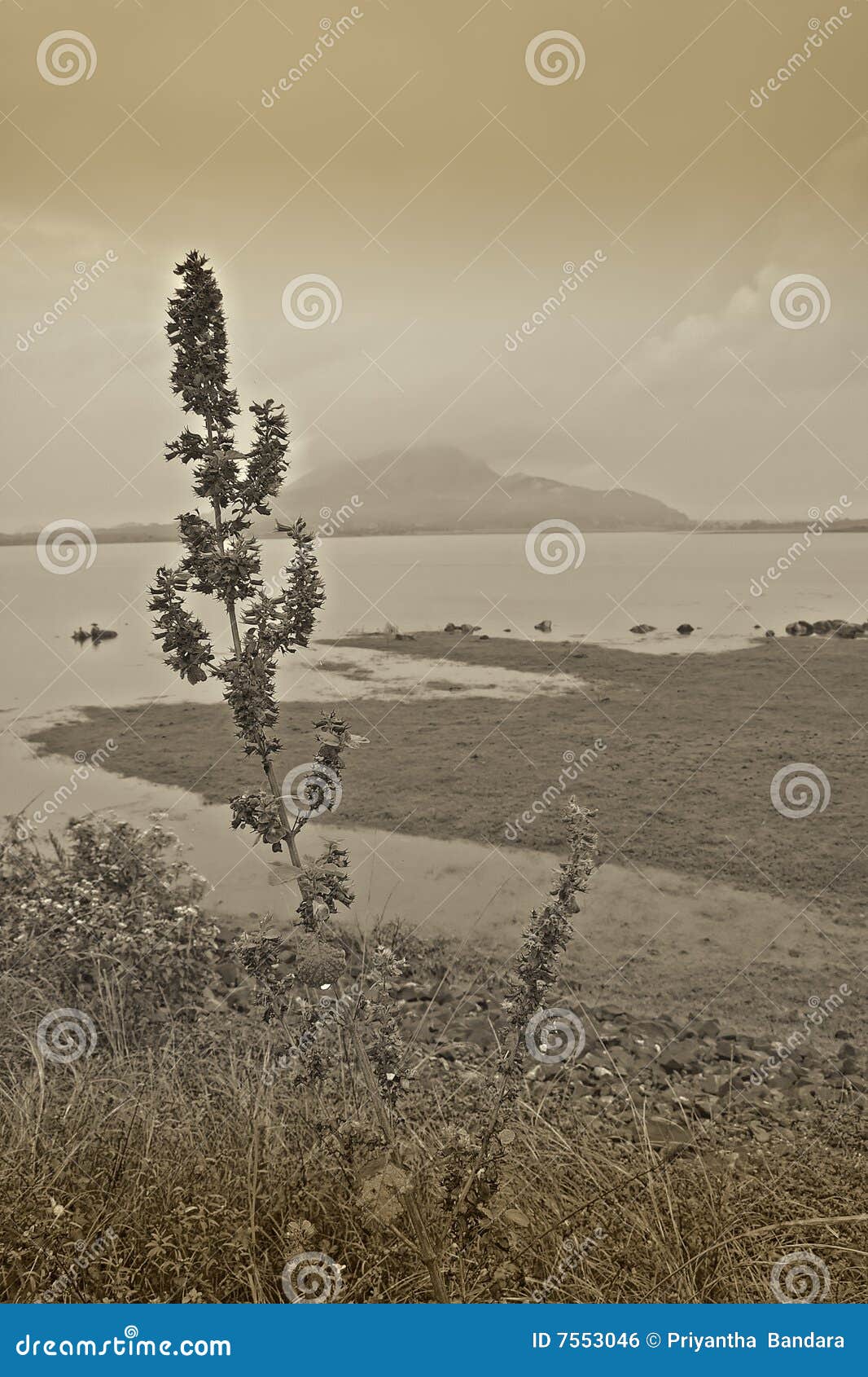 Waving the sun stock photo. Image of climate, lake, urban - 7553046