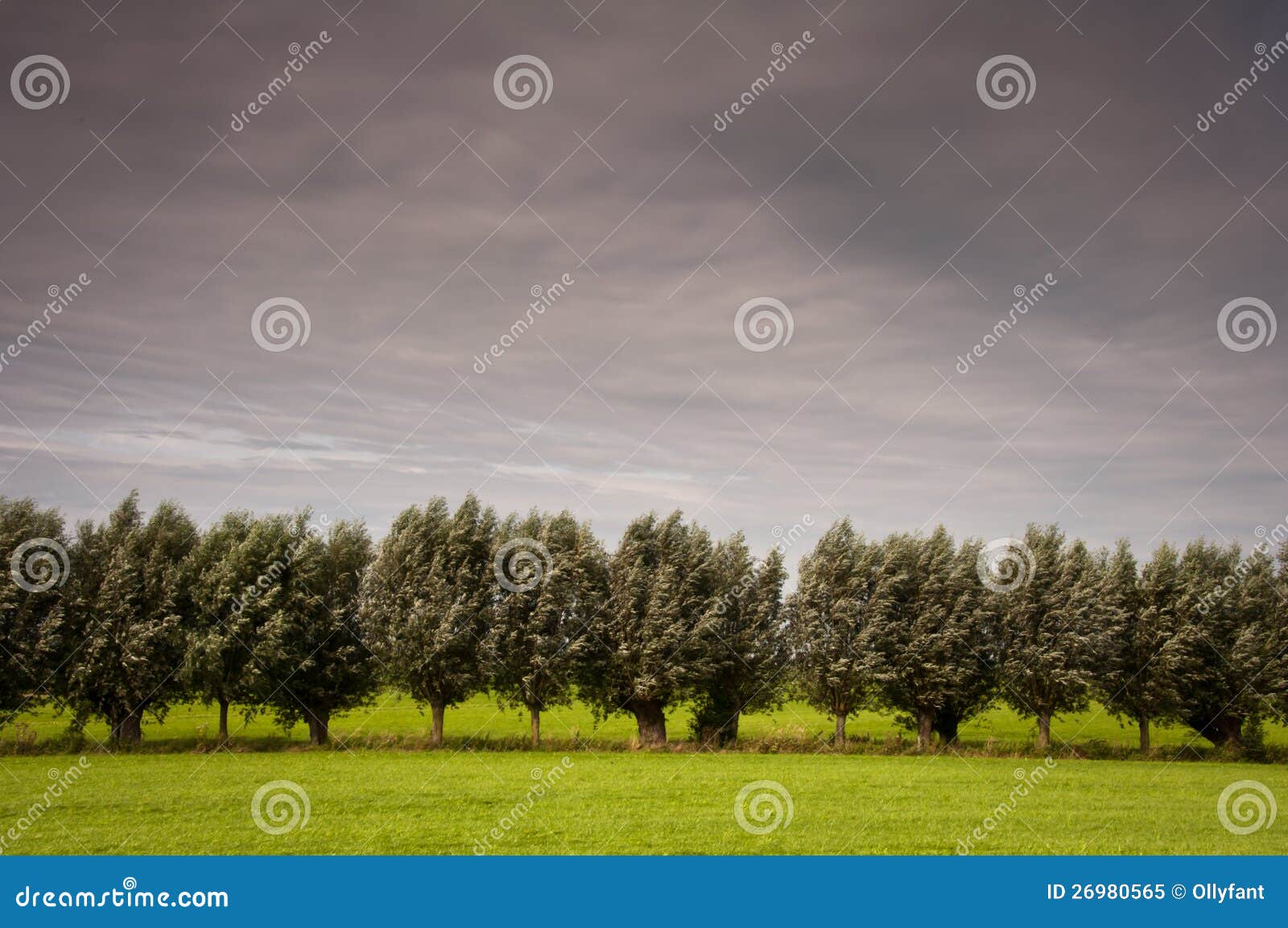 Waving Trees In Wind Cartoon Animation. Mountains, Clouds And Trees ...
