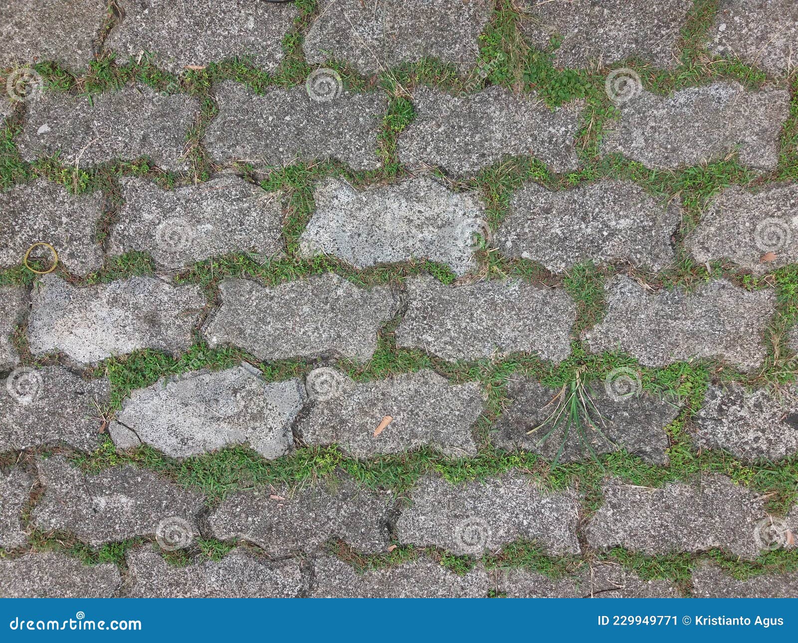 Wavy Brick Pattern, with Grass and Moss - Stock Image Photo Stock Image ...