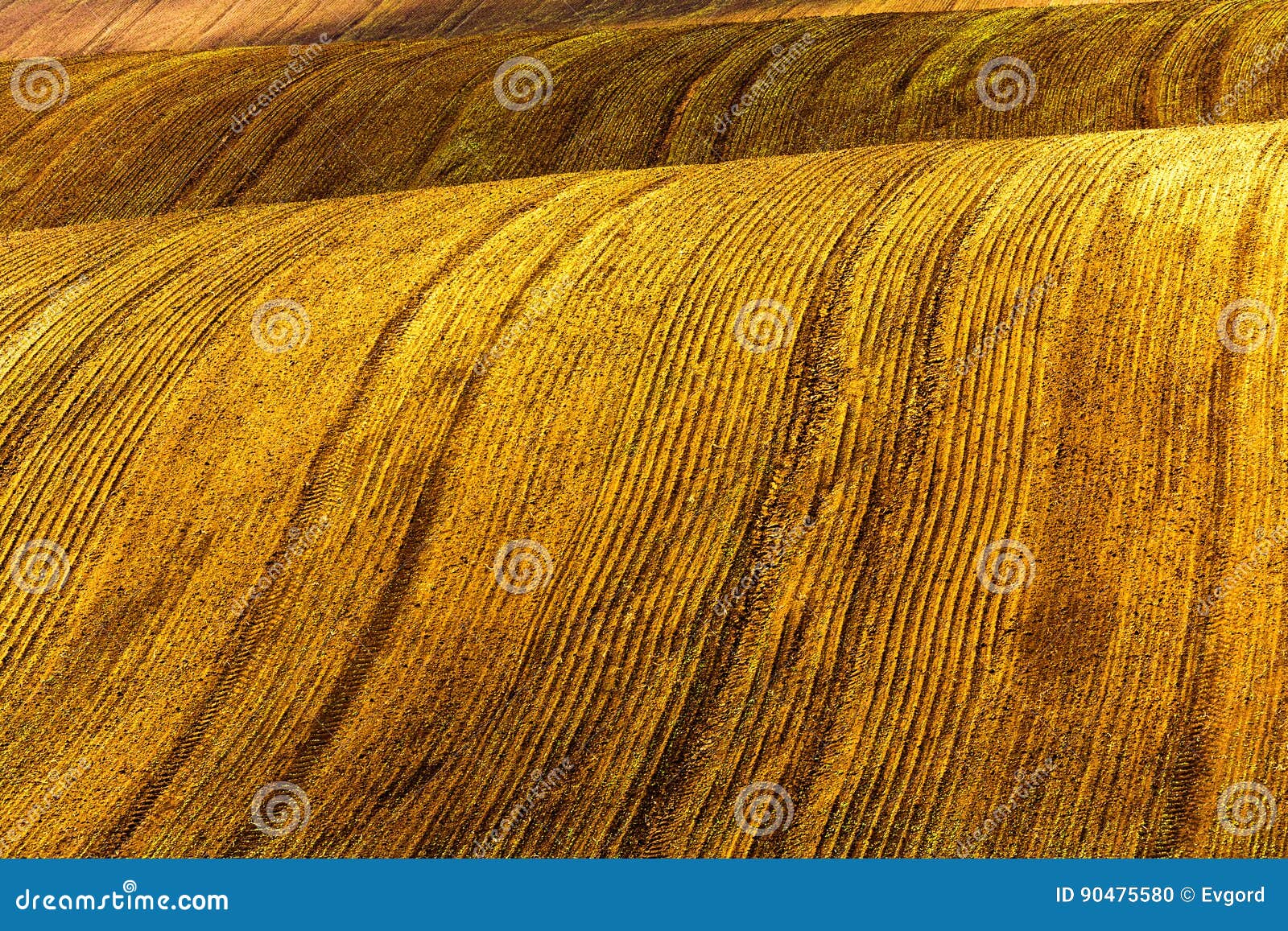 Wavy Brown Field with Deep Furrows Along it Stock Photo - Image of ...