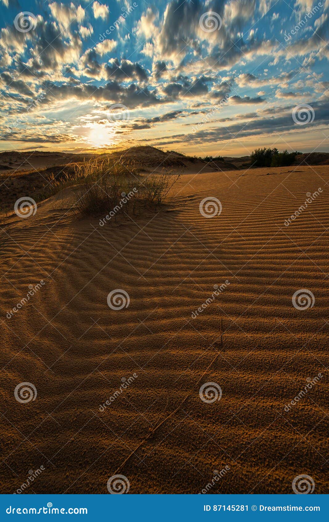 Wavy Dune Sand Desert at Sunset Summer Sun Stock Image - Image of ...