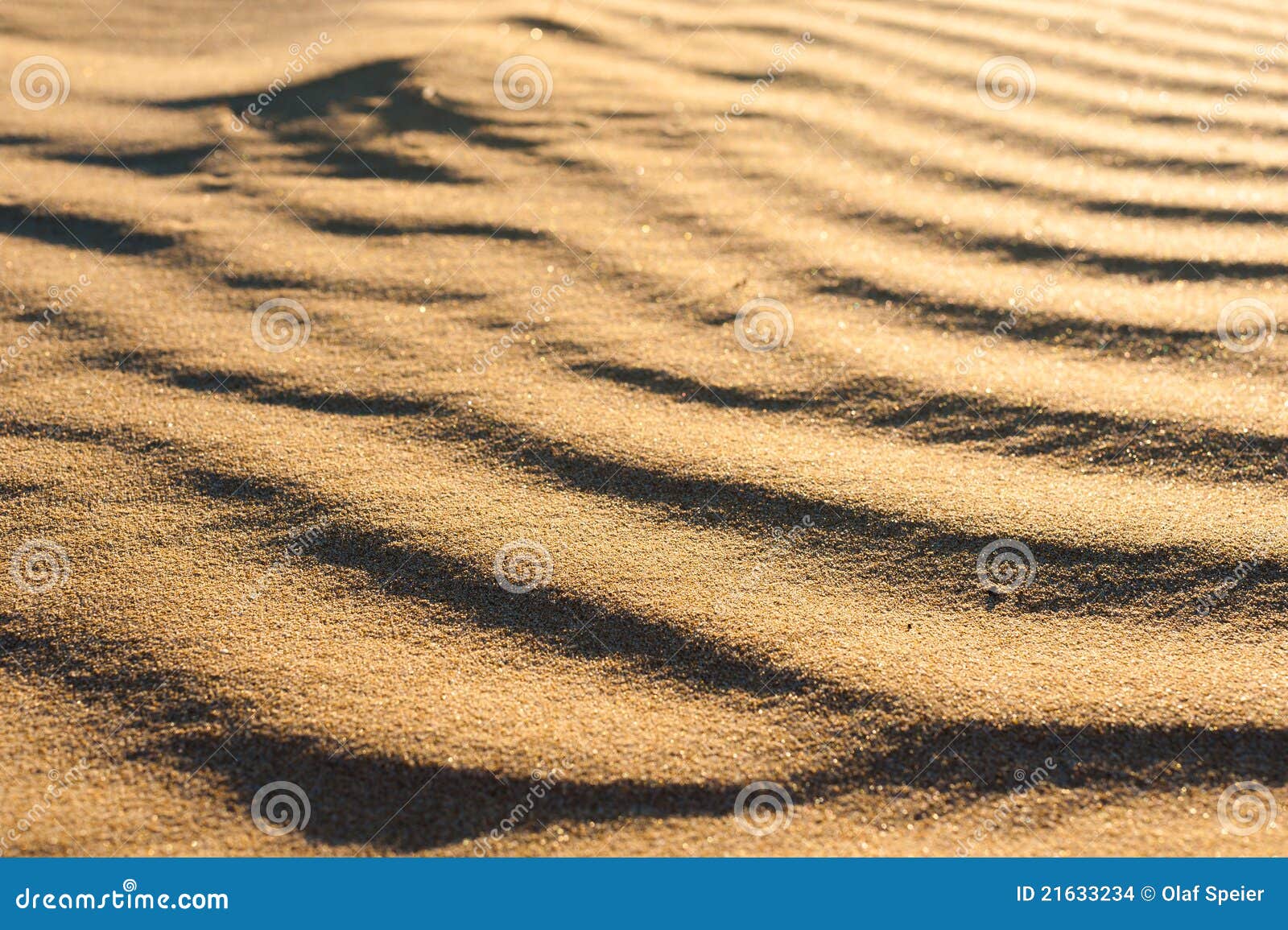 Wavy dune texture stock photo. Image of summer, sunshine - 21633234