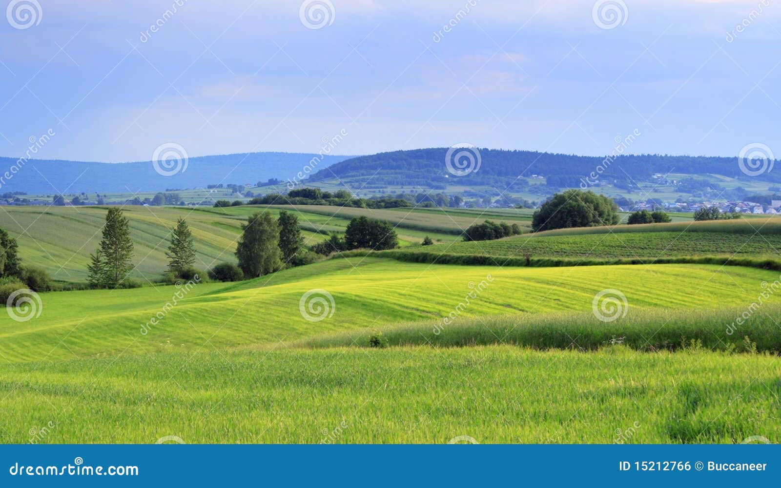 Wavy fields landscape stock photo. Image of natural, nature - 15212766