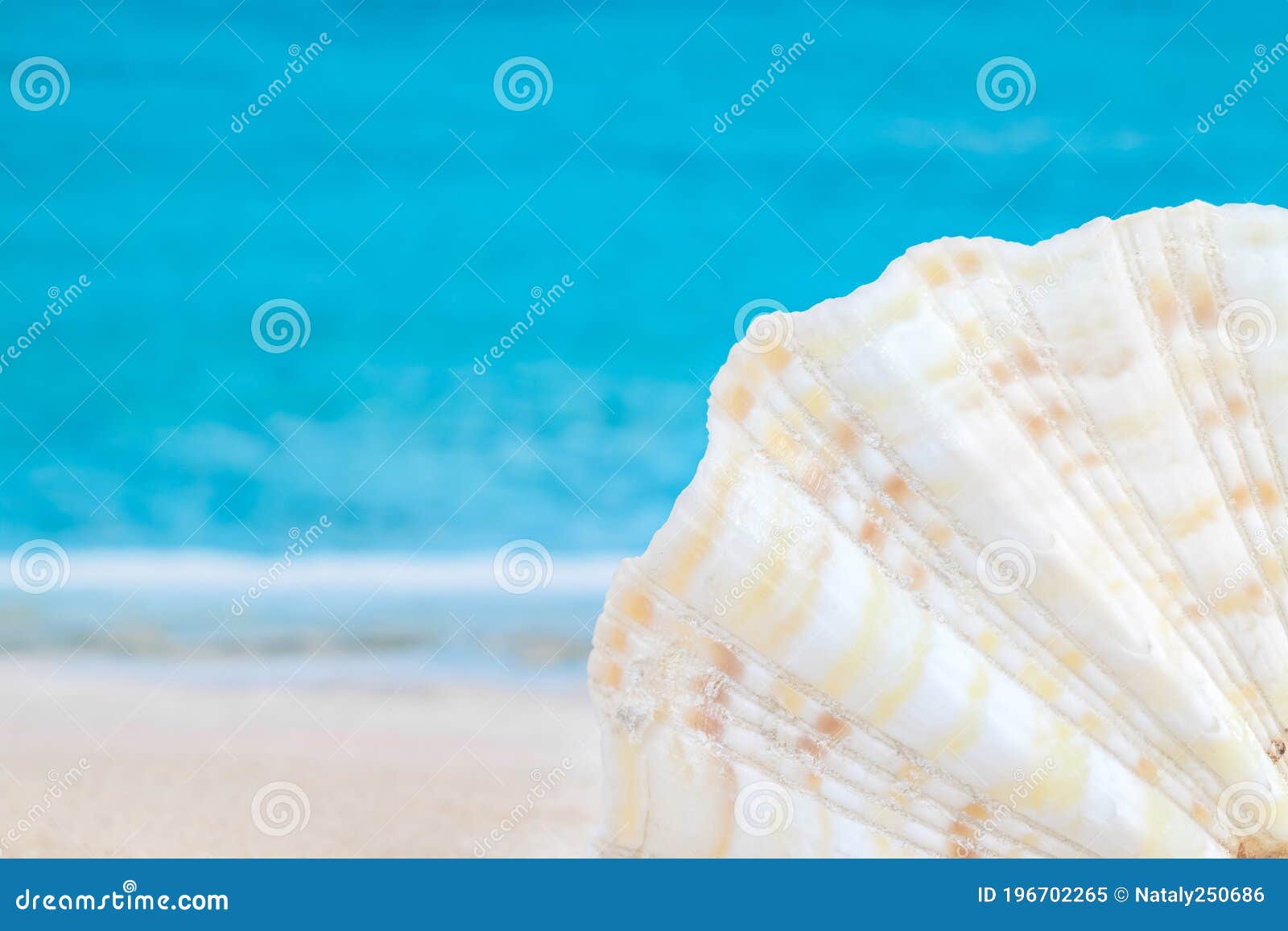 Wavy Forms Light with Stripes Shell Corner View and Sea or Ocean on the ...