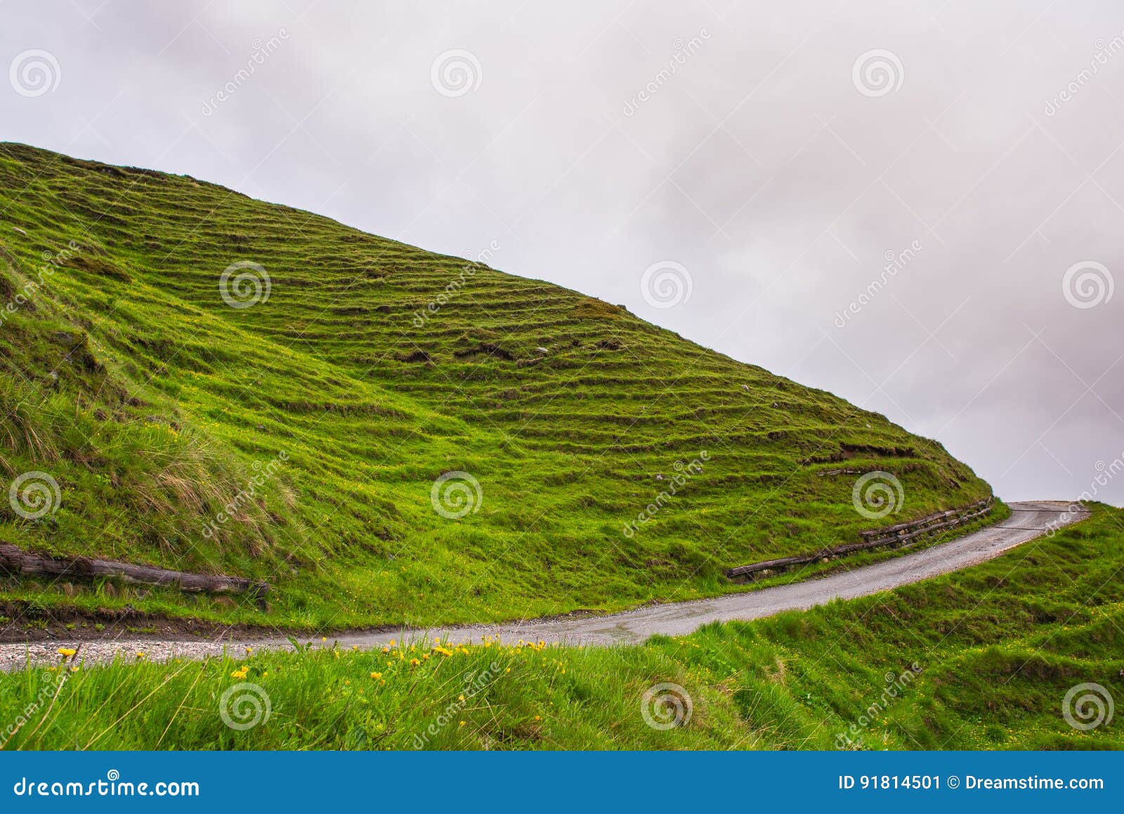 A wavy grass hill horizont stock image. Image of wavy - 91814501