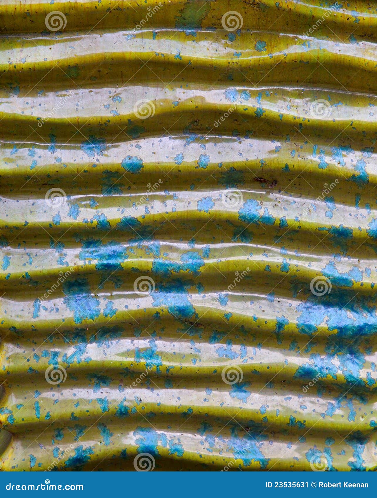 Wavy Green Ceramic stock image. Image of wavy, abstract - 23535631