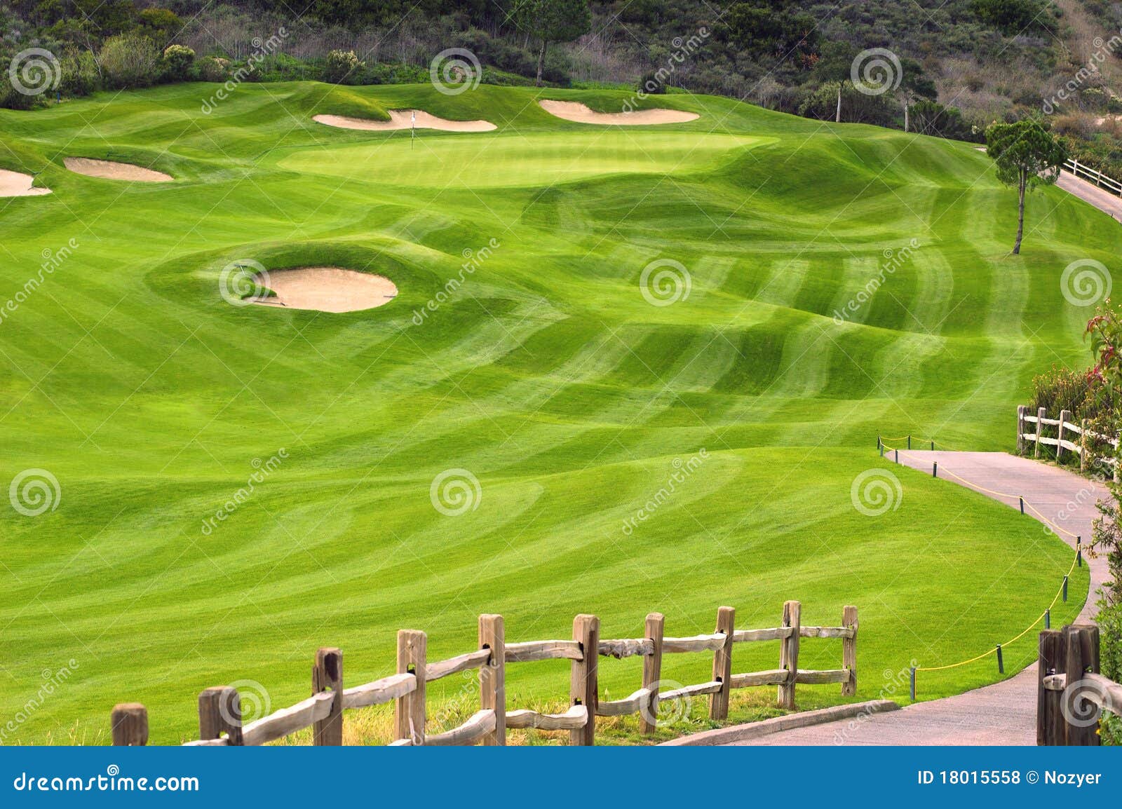 Wavy green golf field stock photo. Image of bright, lifestyle - 18015558