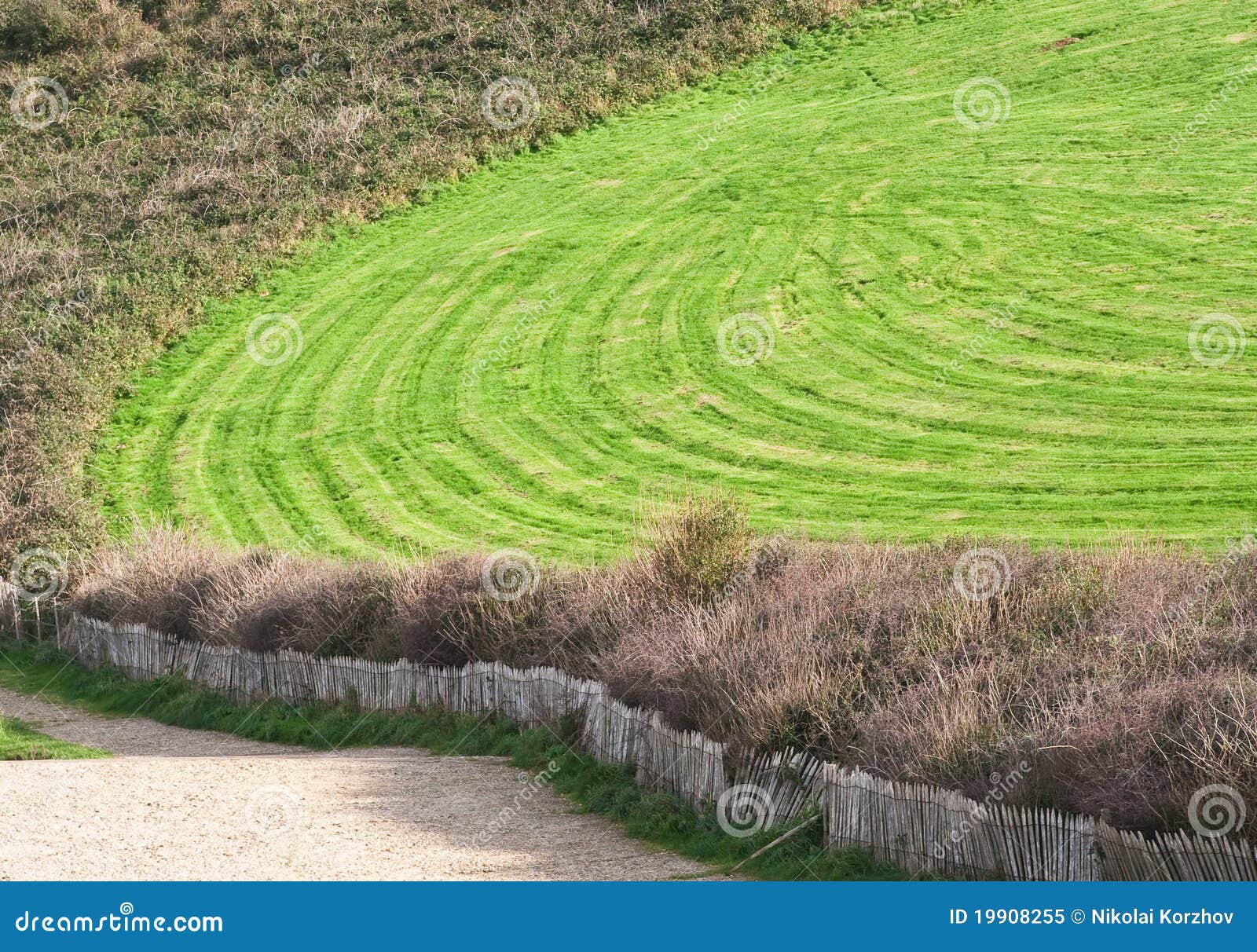 Wavy green golf field stock image. Image of forest, lawn - 19908255