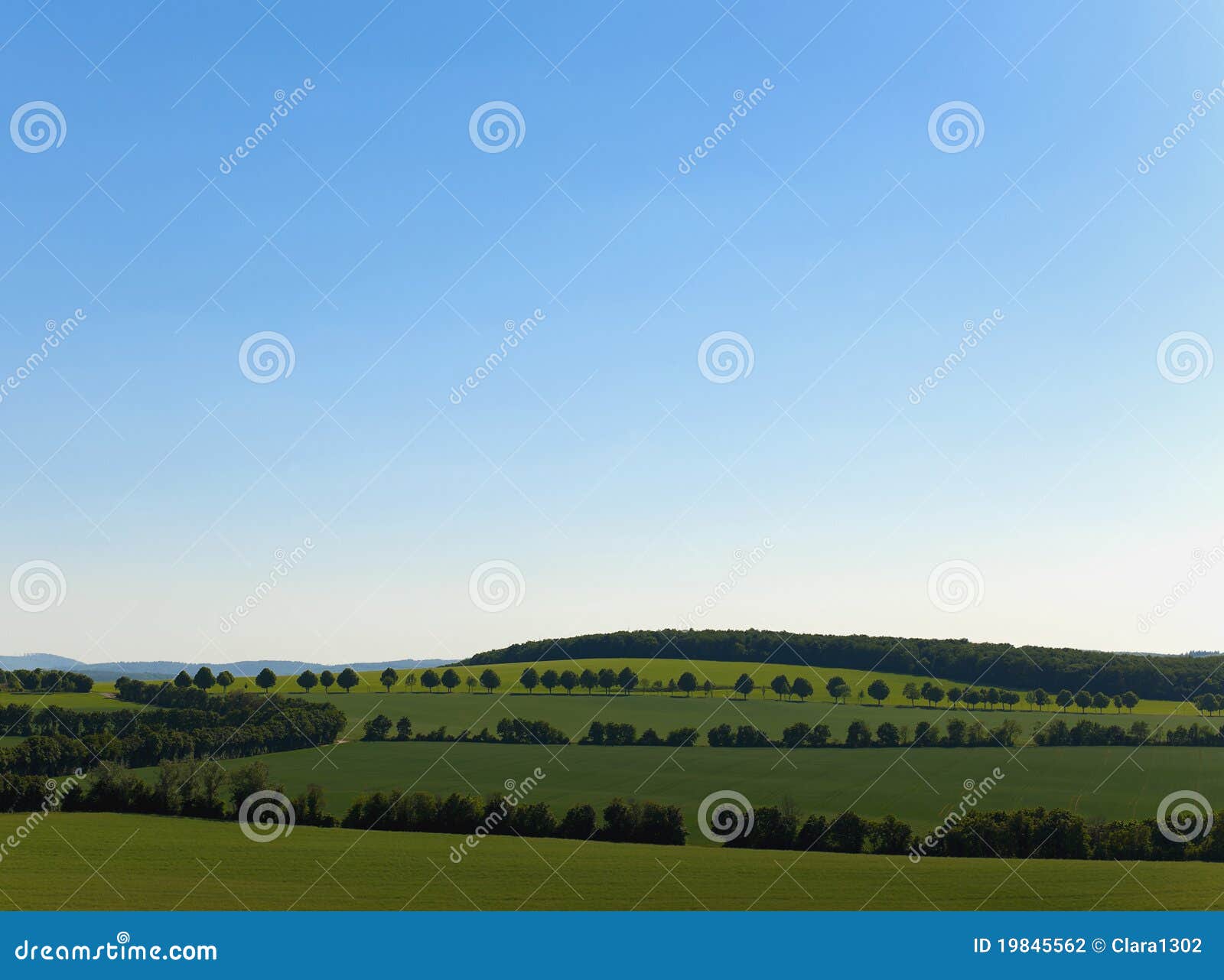 Wavy landscape stock photo. Image of fresh, landscape - 19845562