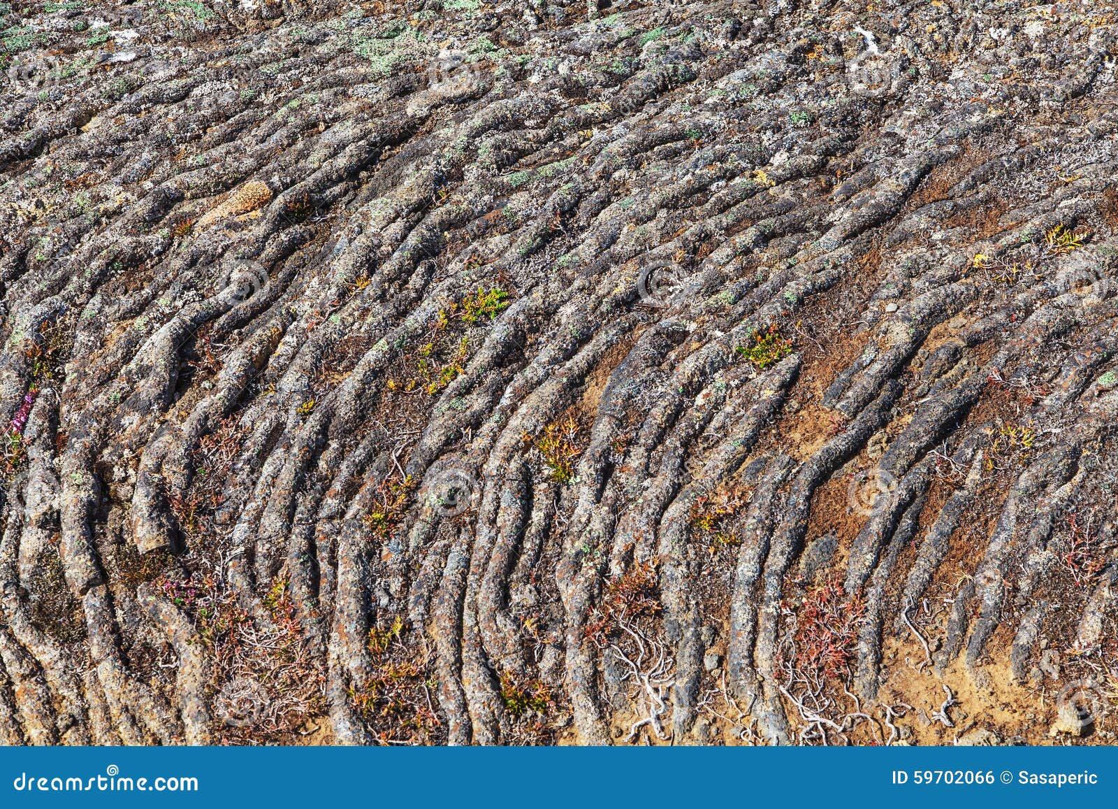 Wavy lava rock formation stock photo. Image of iceland - 59702066