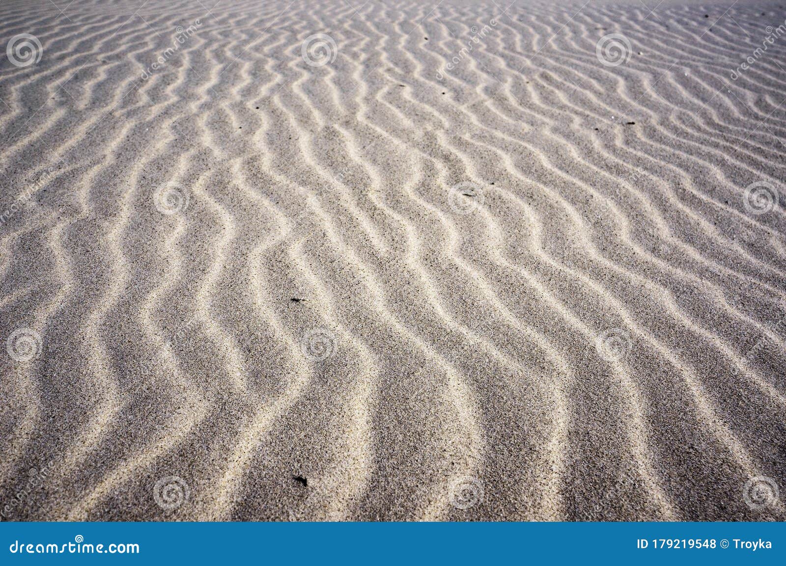 Wavy Lines Pattern on Sand of Dunes on Beach Stock Photo - Image of ...
