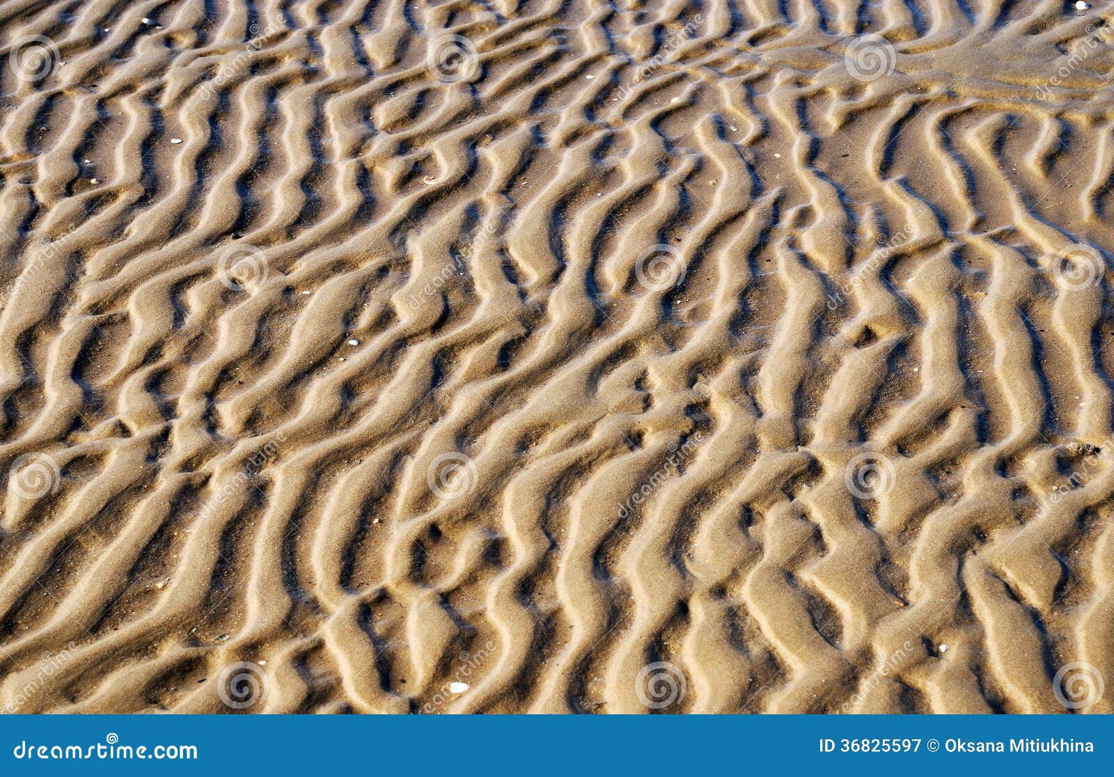 Wavy Pattern of Wet Sand on the Beach Stock Image - Image of water ...