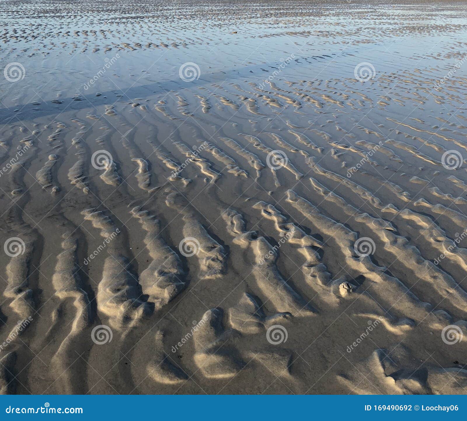 Wavy Sand on the Beach of Cape Cod Stock Photo - Image of unique ...