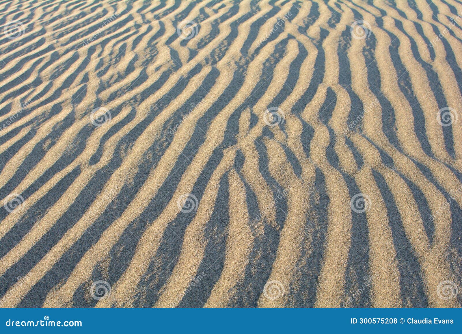 Wavy sand on a dune stock photo. Image of dryness, environment - 300575208