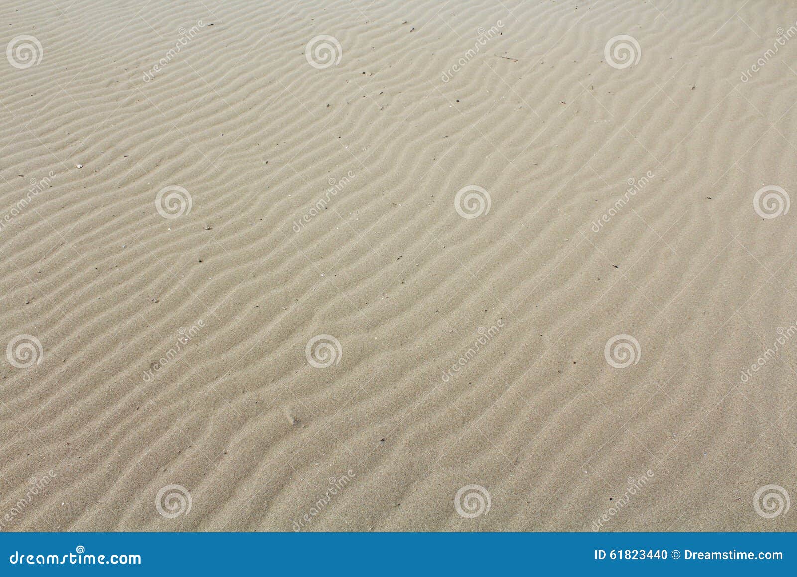 Wavy sand stock photo. Image of italia, light, hipnotizing - 61823440