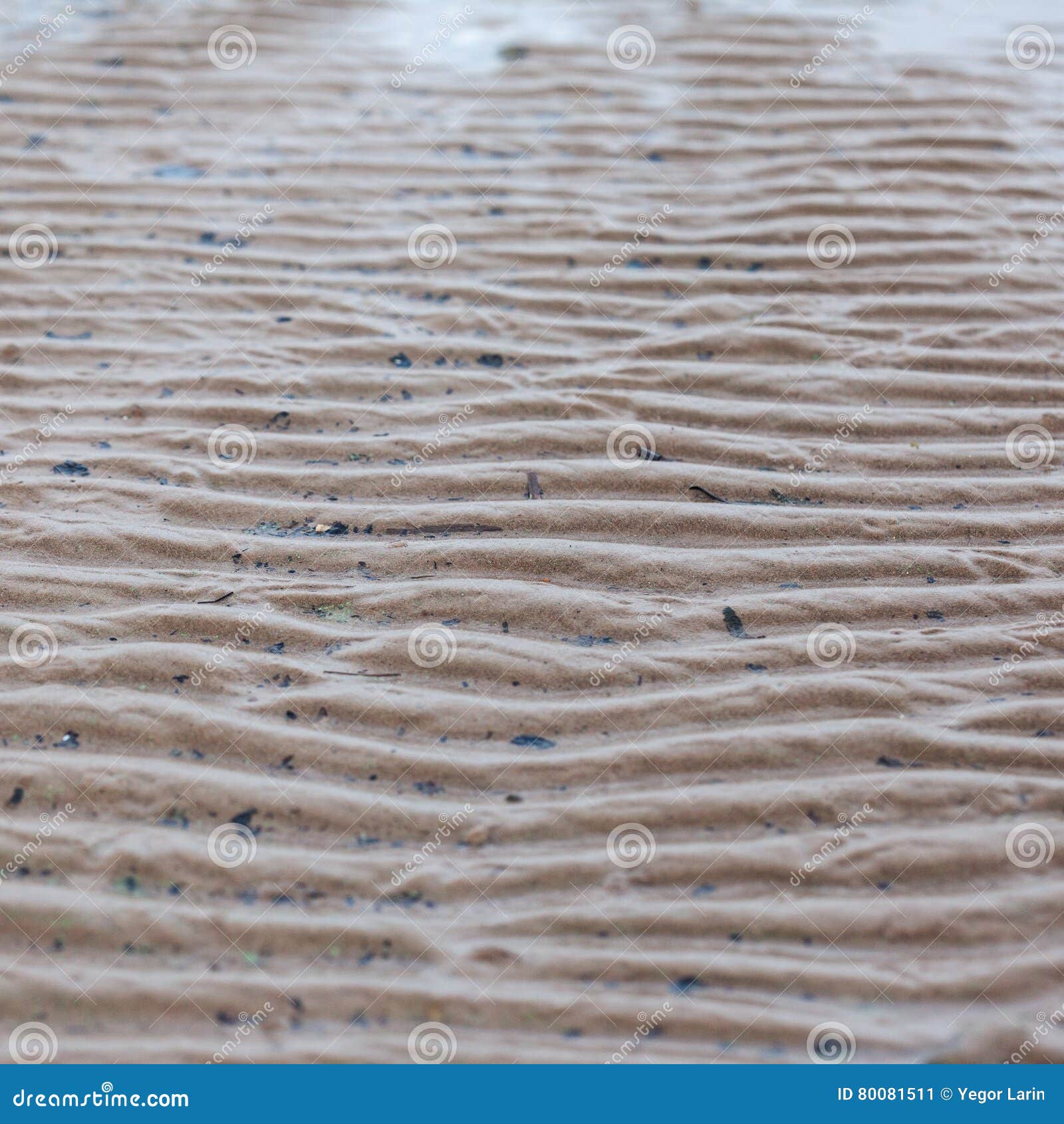 Wavy Sea Sand Abstract Background Stock Image - Image of ripple, desert ...