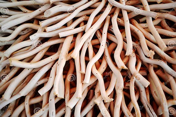 Wavy sticks background stock photo. Image of driftwood - 122470080