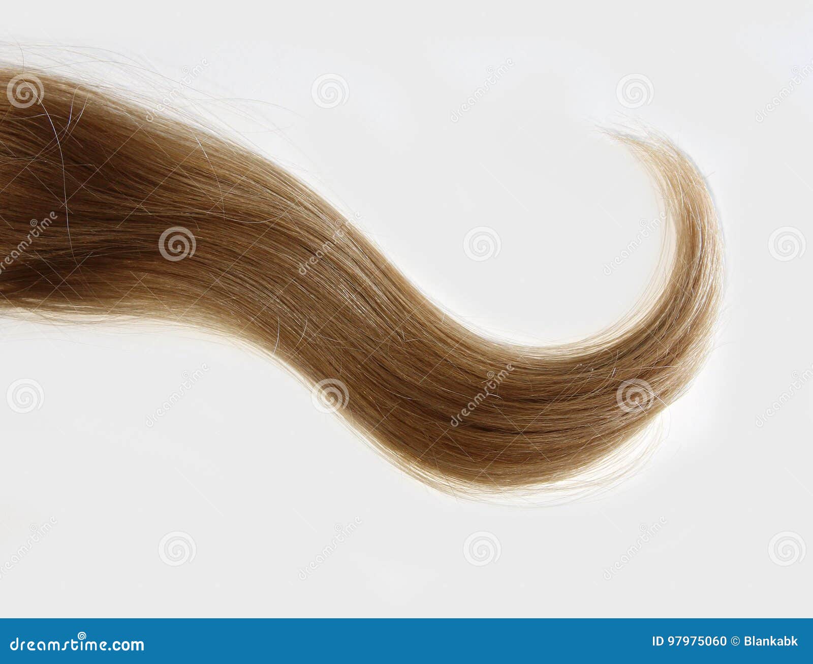 Wavy strand of blonde hair stock photo. Image of hairstyle - 97975060