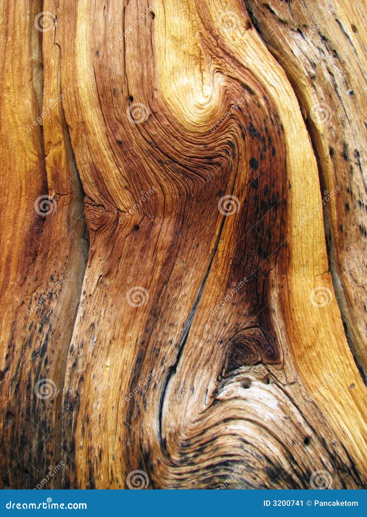 Wavy wood grain stock image. Image of dead, blasted, sand - 3200741