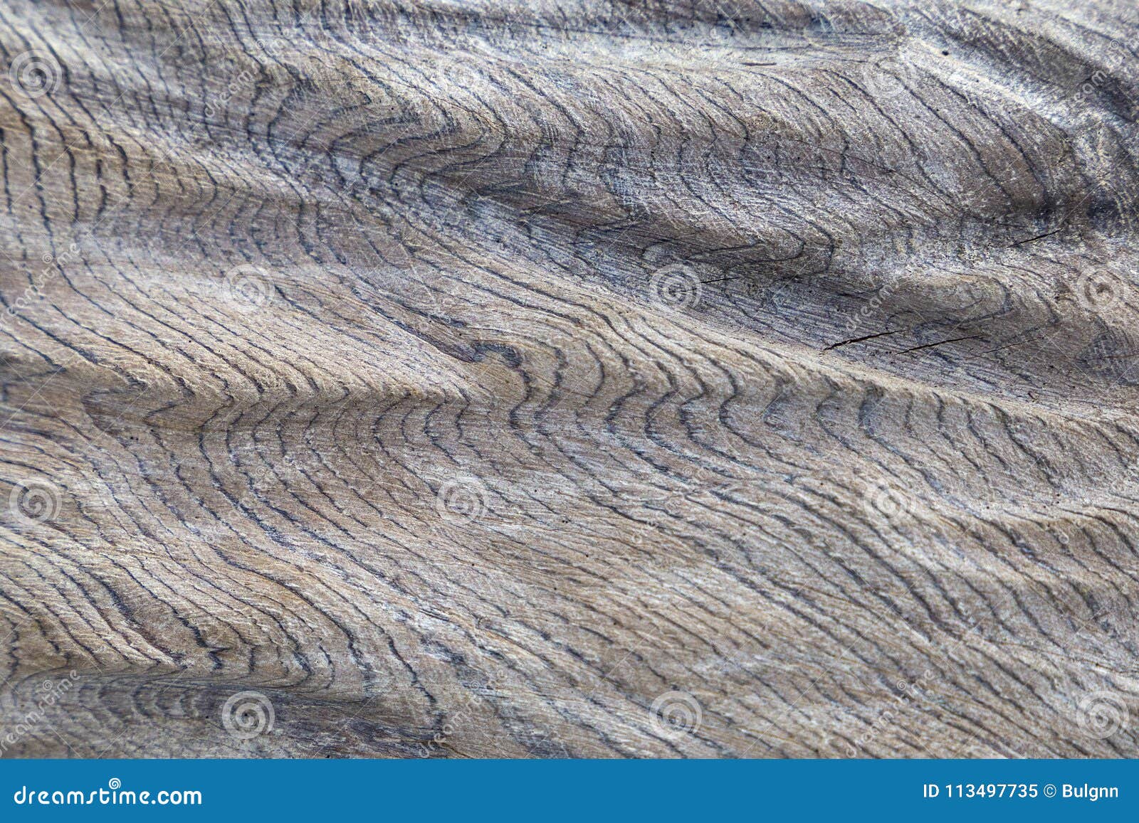 Wavy wood texture stock image. Image of material, gray - 113497735