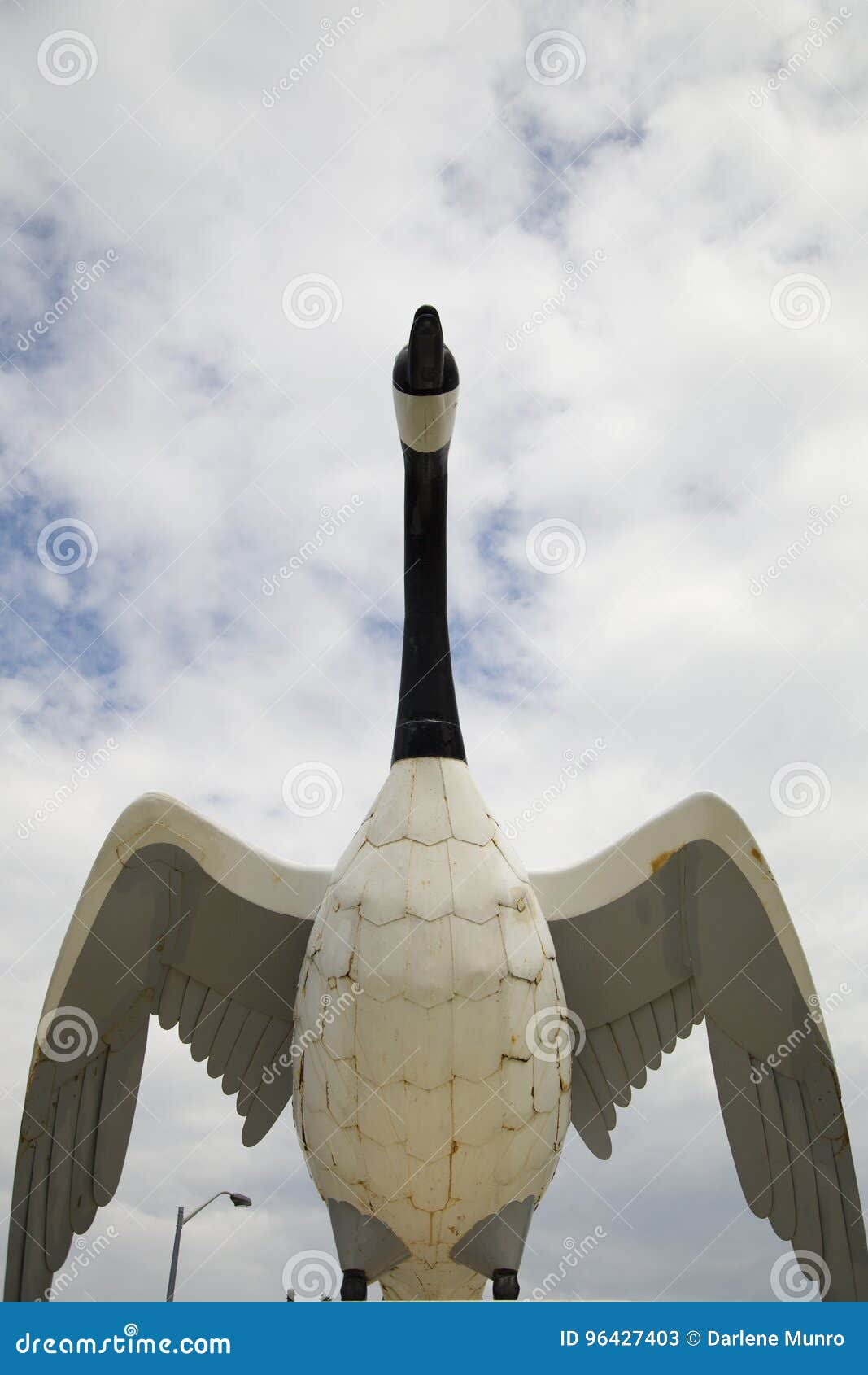 Wawa Goose editorial stock photo. Image of white, canadian - 96427403