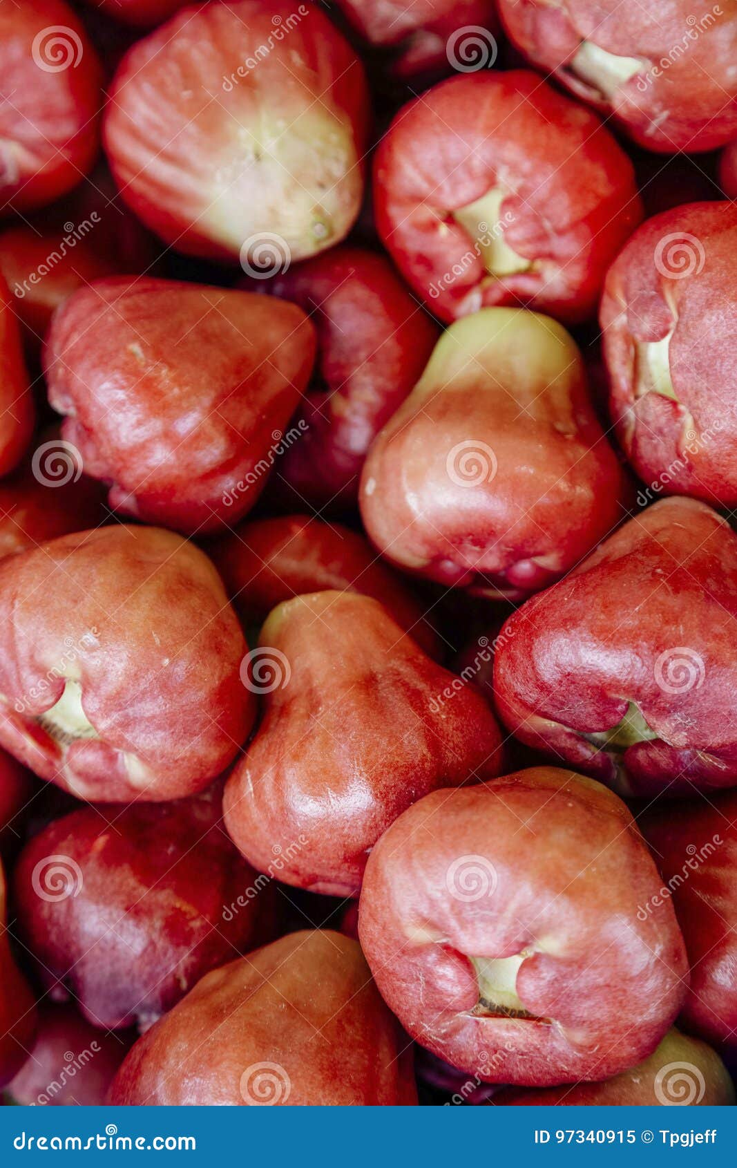 Wax apple stock image. Image of market, color, nutrition - 97340915