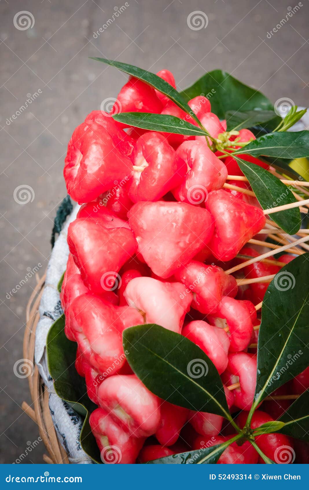 Wax Apple Royalty-Free Stock Image | CartoonDealer.com #52493314