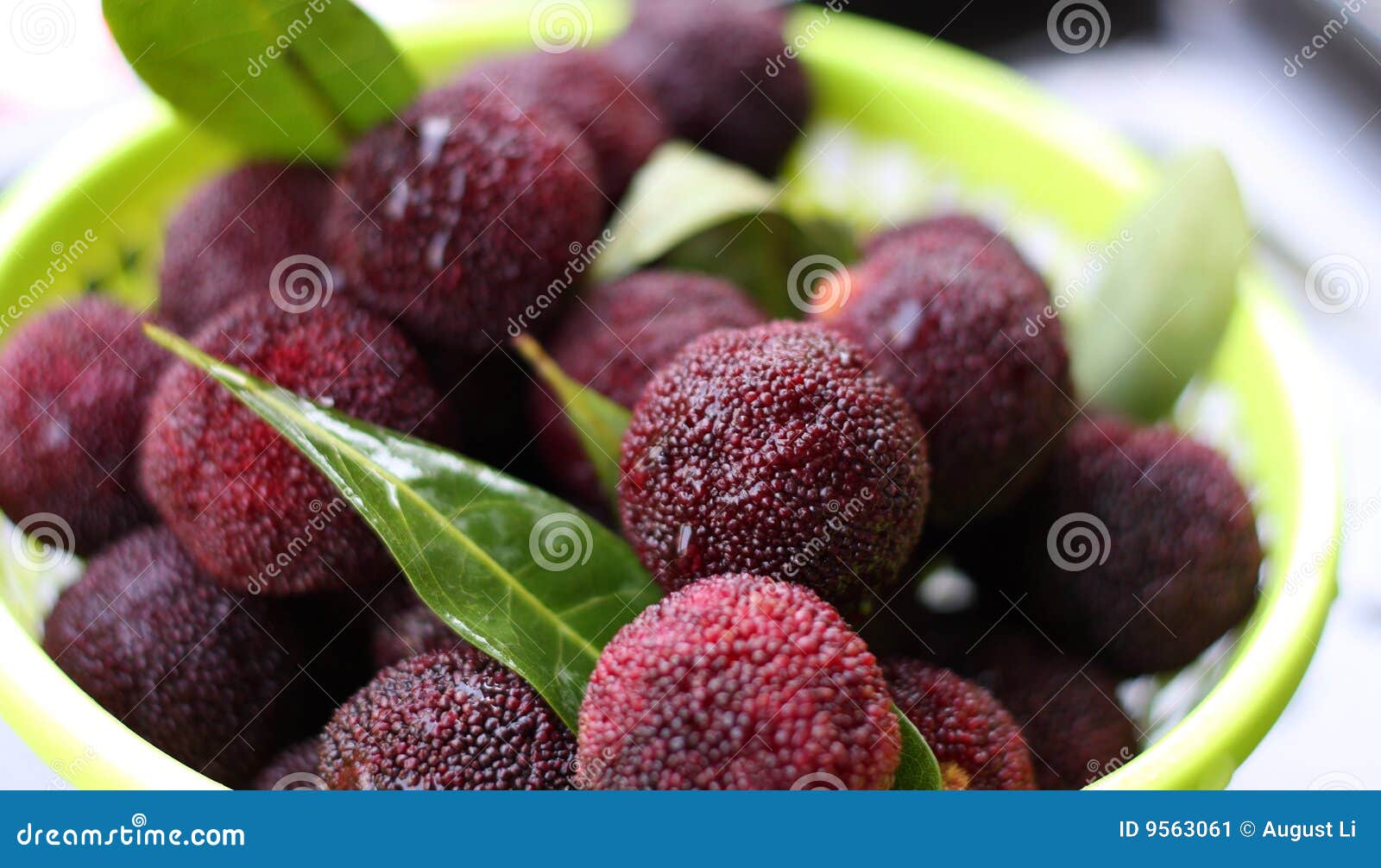 Wax-berry stock image. Image of macro, breakfast, ingredient - 9563061