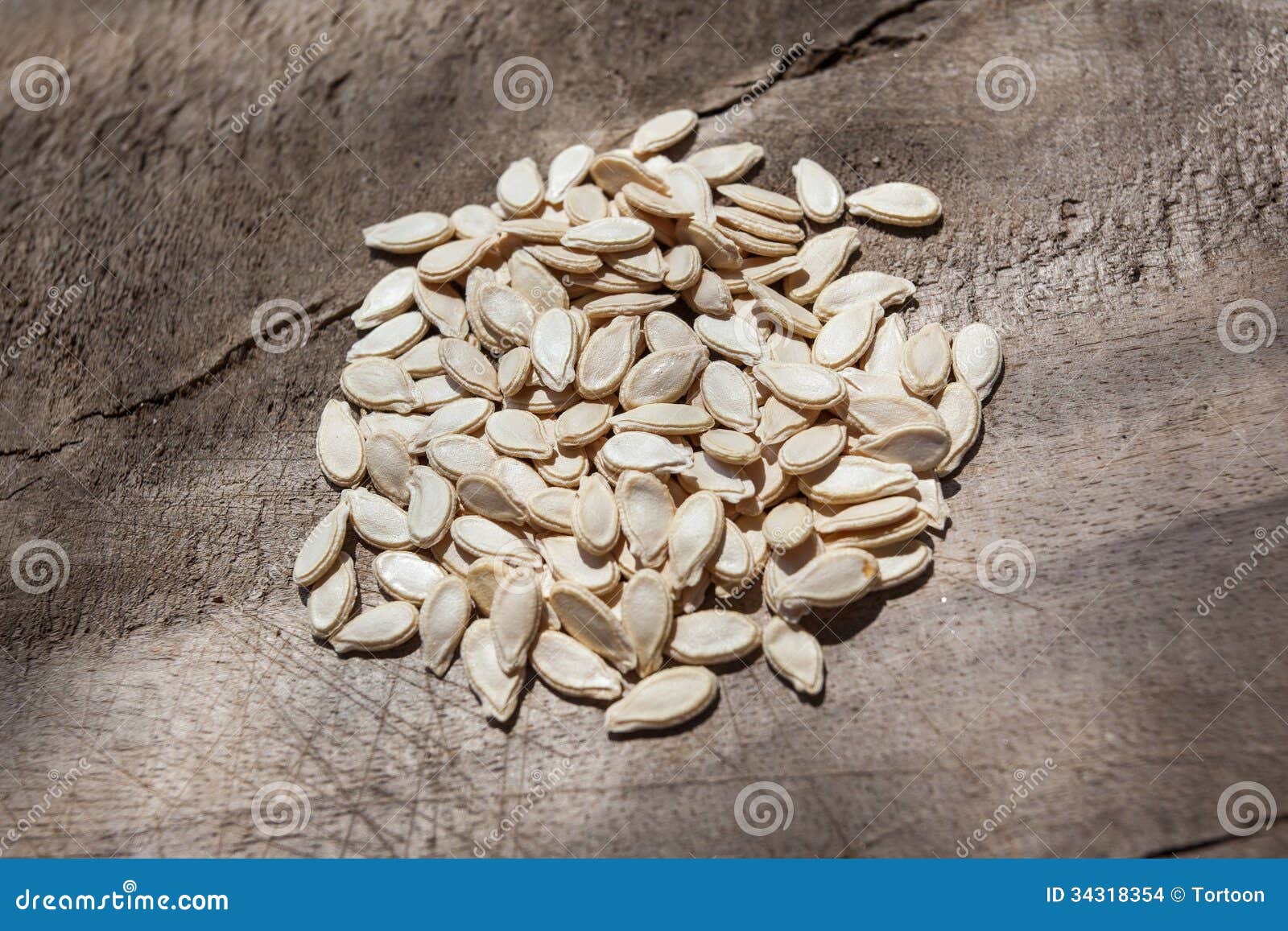 Wax gourd seeds stock photo. Image of leaf, close, grow - 34318354