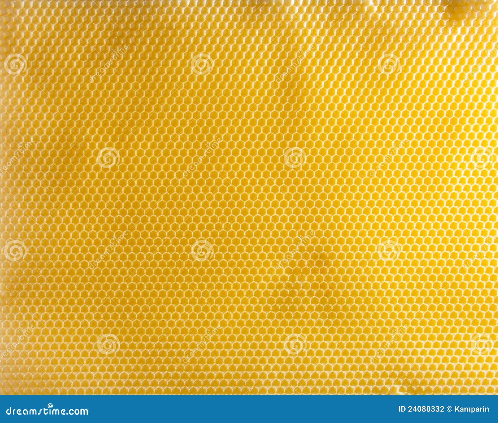 Wax texture stock photo. Image of texture, natural, background - 24080332